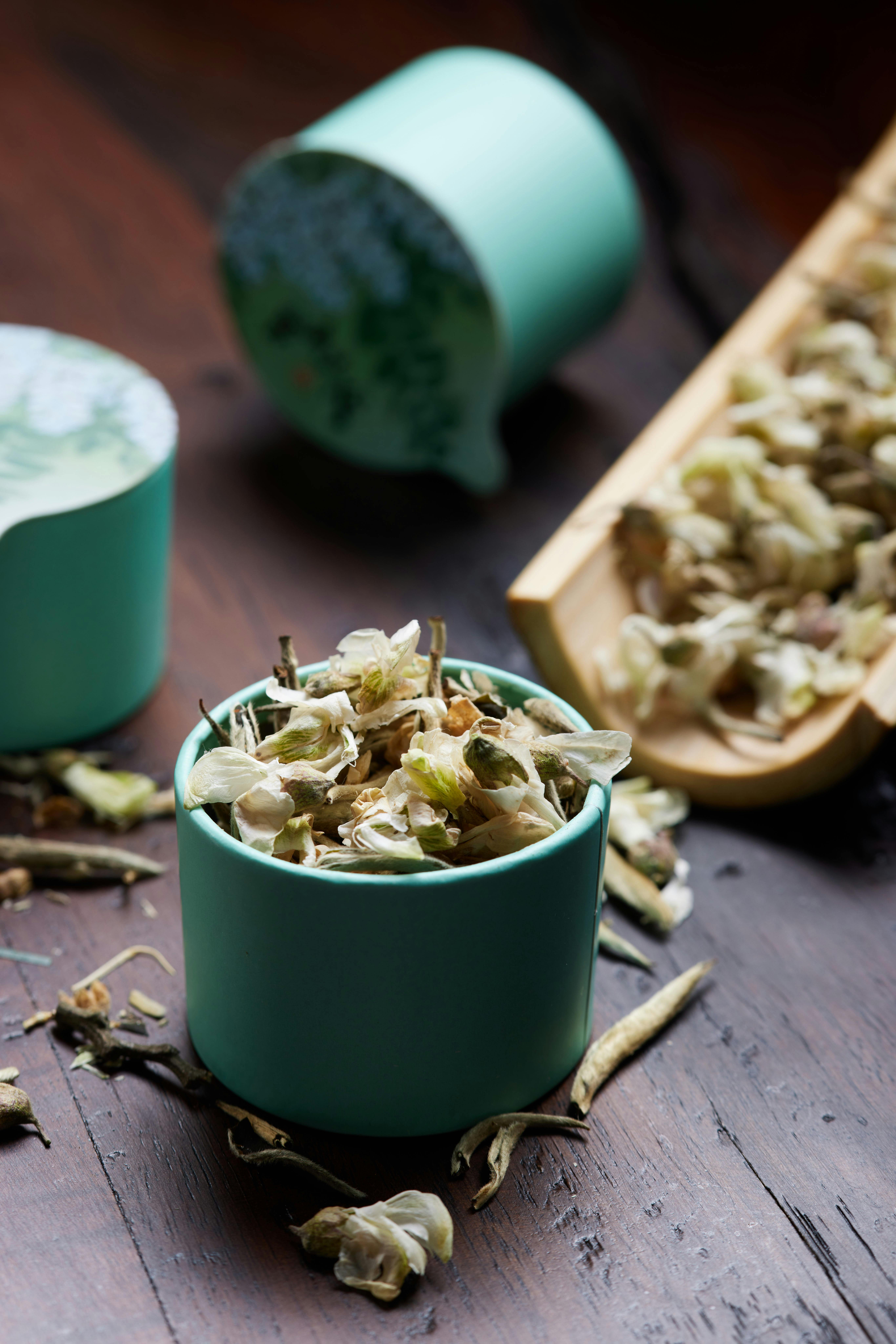 Descubriendo el Poder de las Plantas: Remedios Naturales para el ...