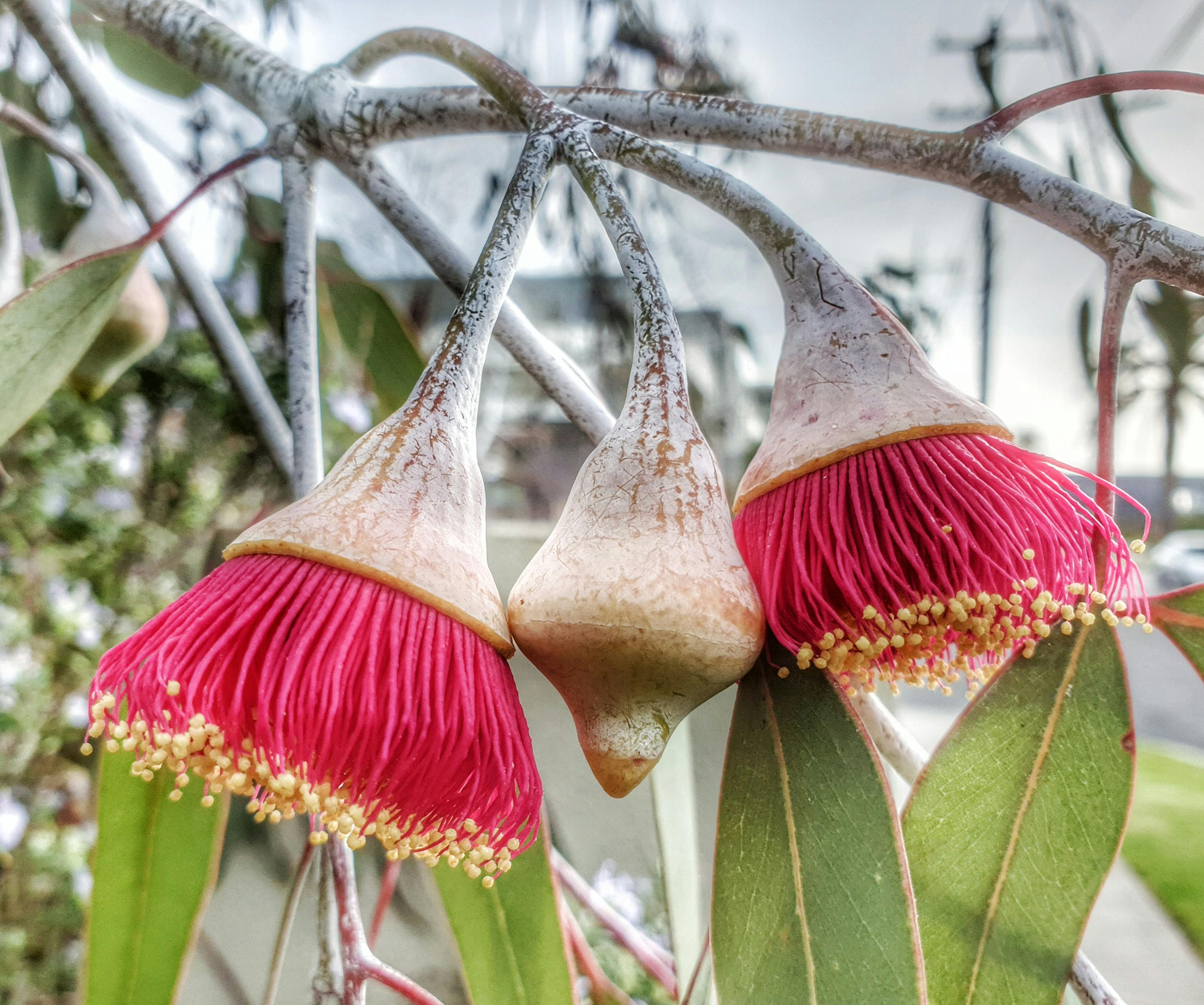 Daniel Watson - Photography