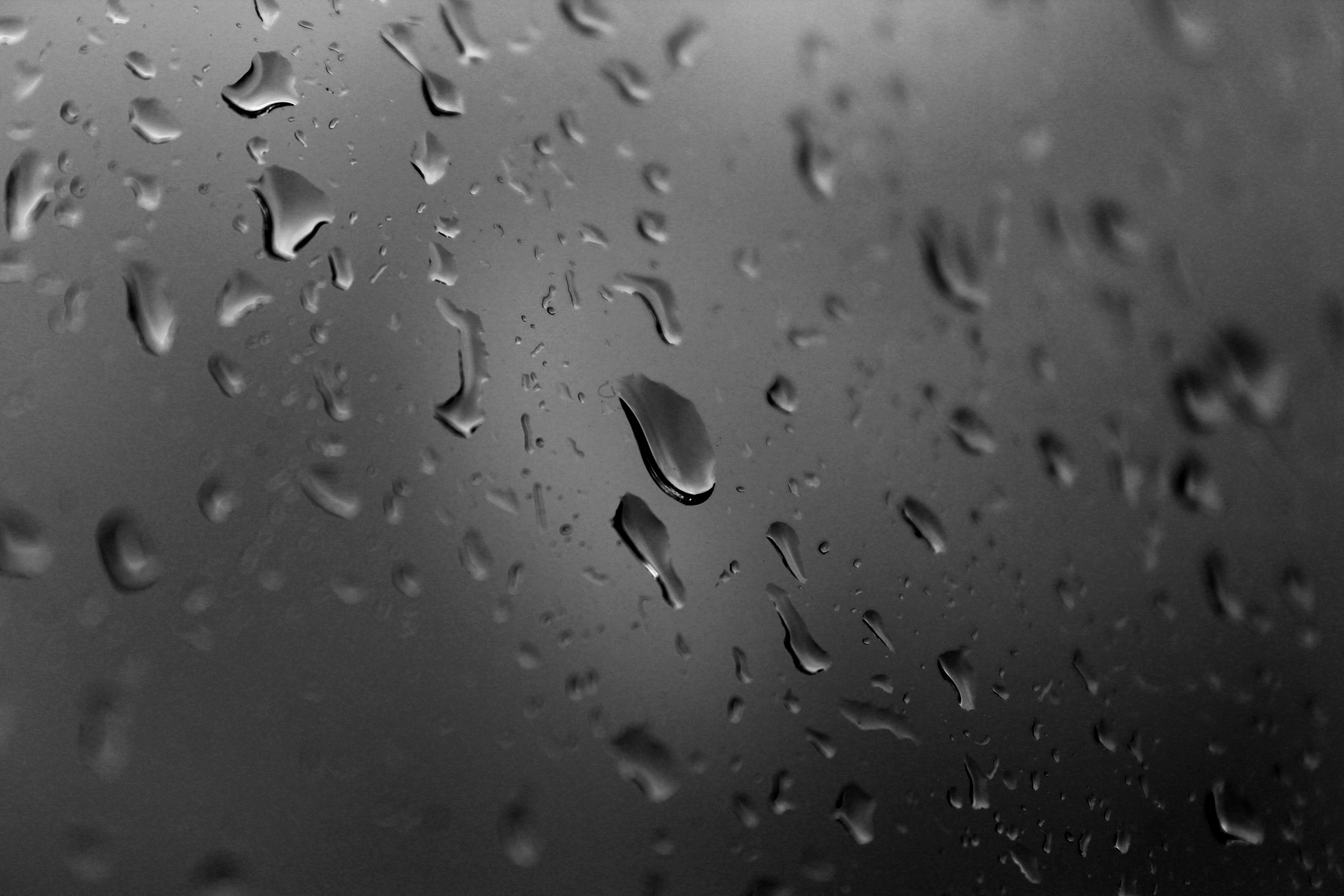 Wet Window · Free Stock Photo