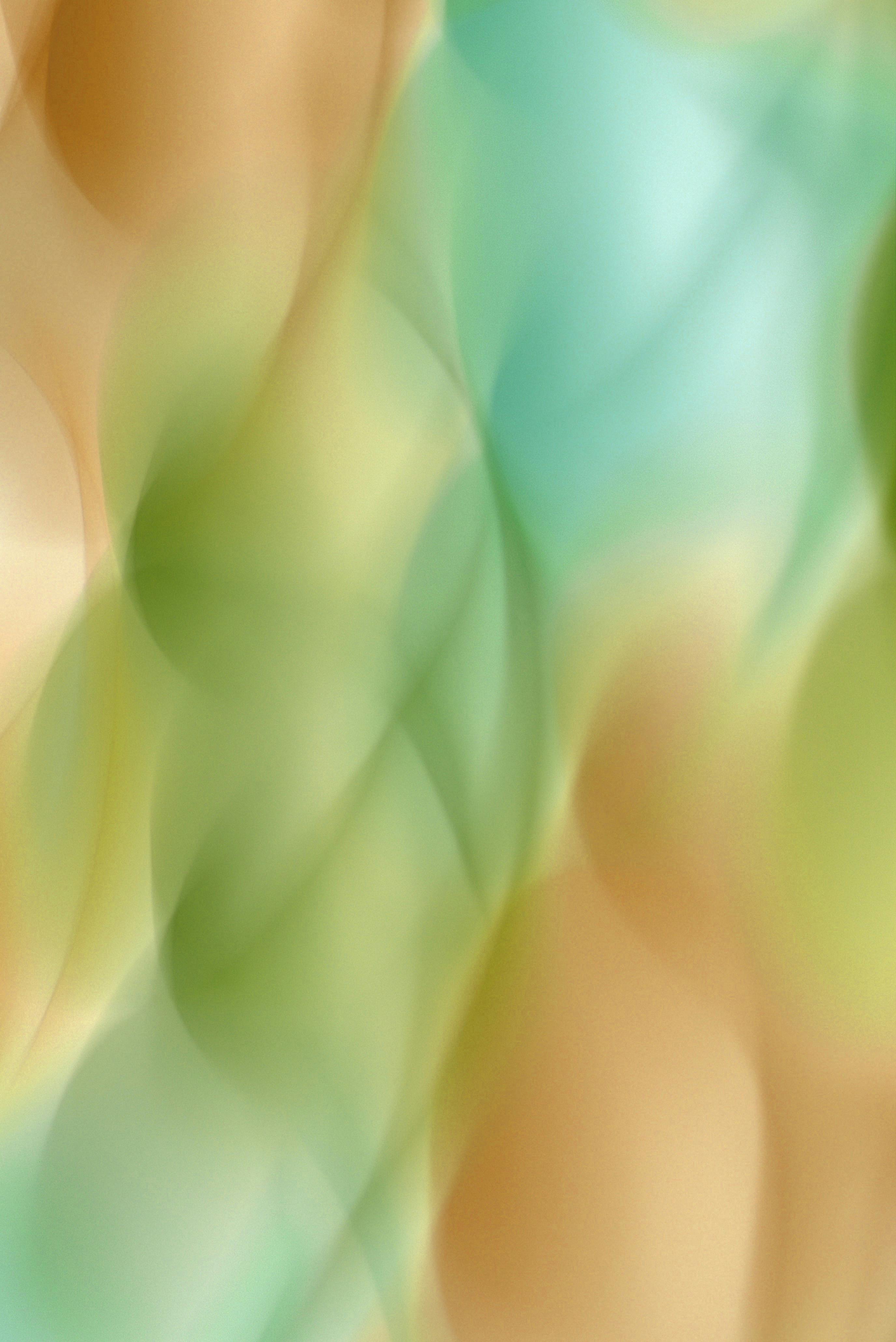 Different Shades Of Green Color · Free Stock Photo