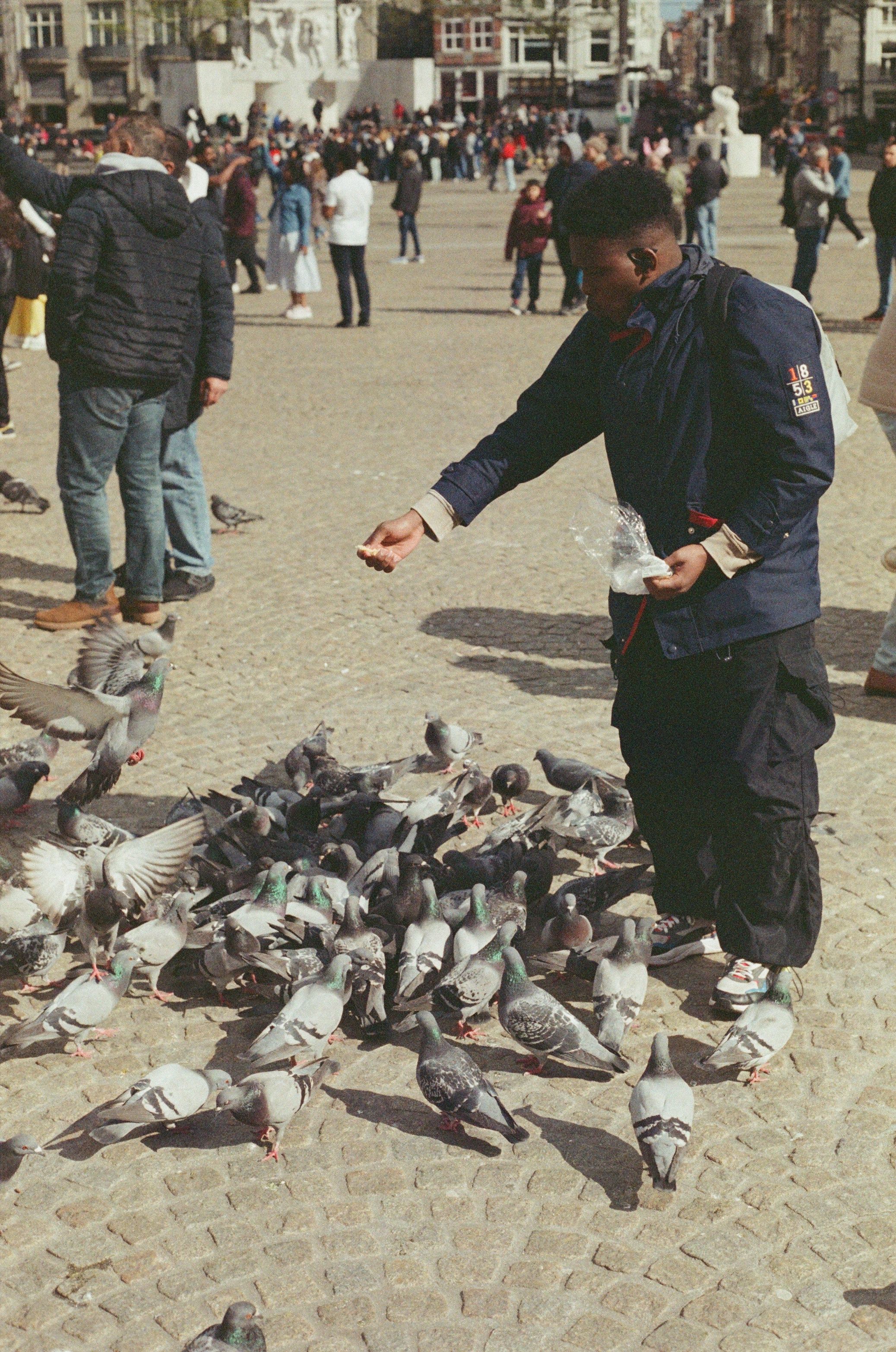 Man in Jacket Feeding Pigeons · Free Stock Photo