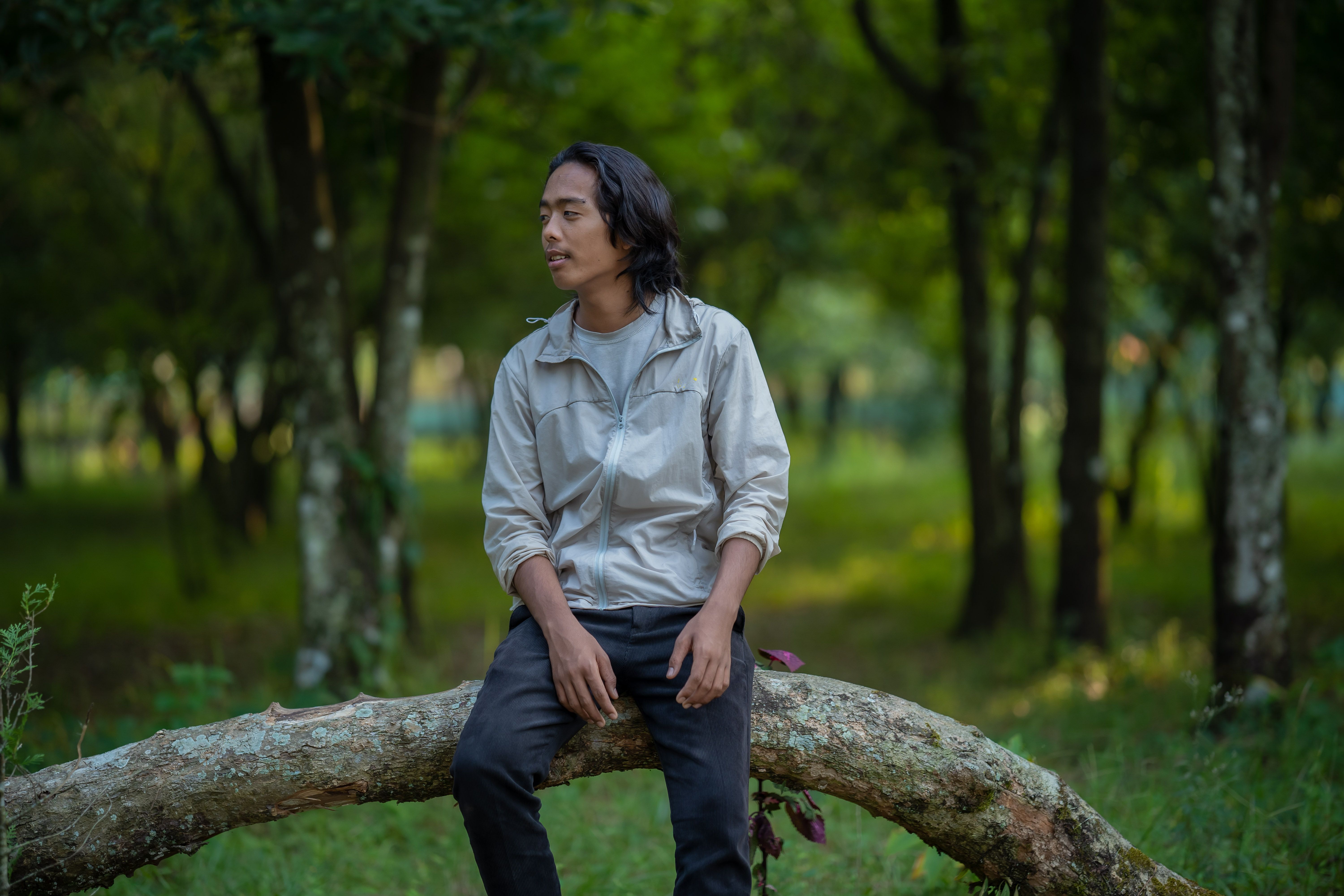 A man sitting on a tree branch in the woods · Free Stock Photo