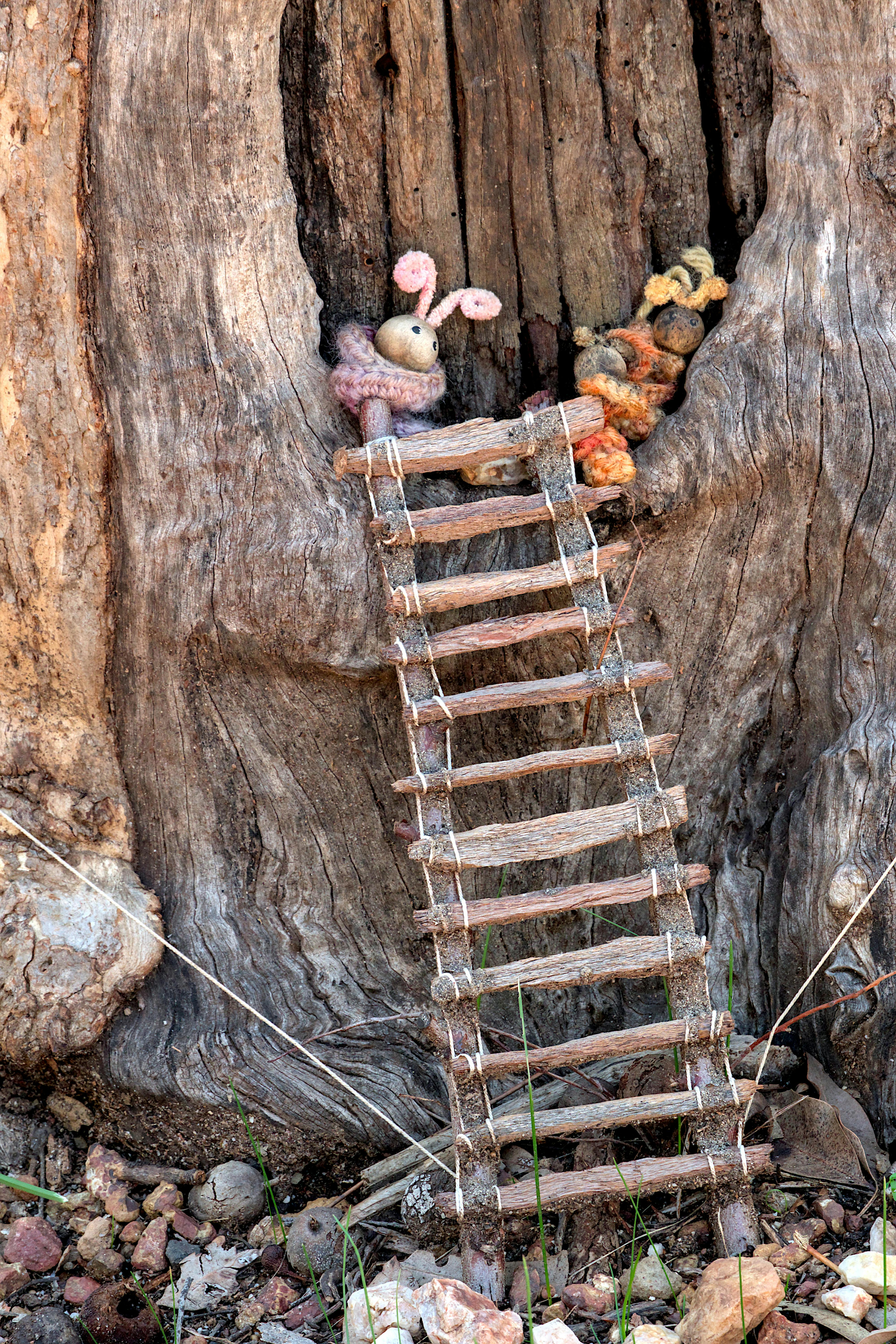 Ladder Leaning on Tree · Free Stock Photo