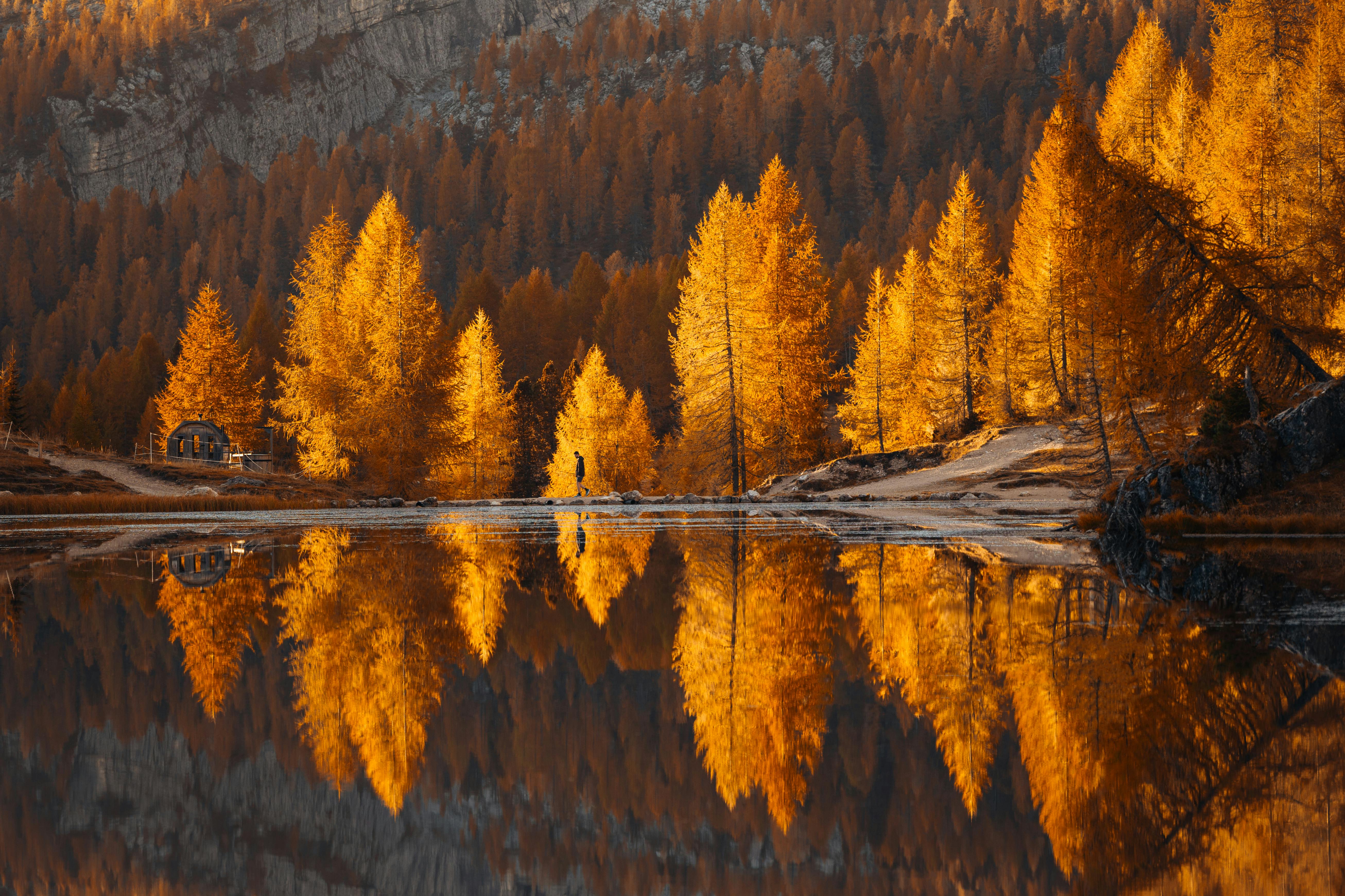 Nature Wallpaper Mancing Photos, Download The BEST Free Nature ...