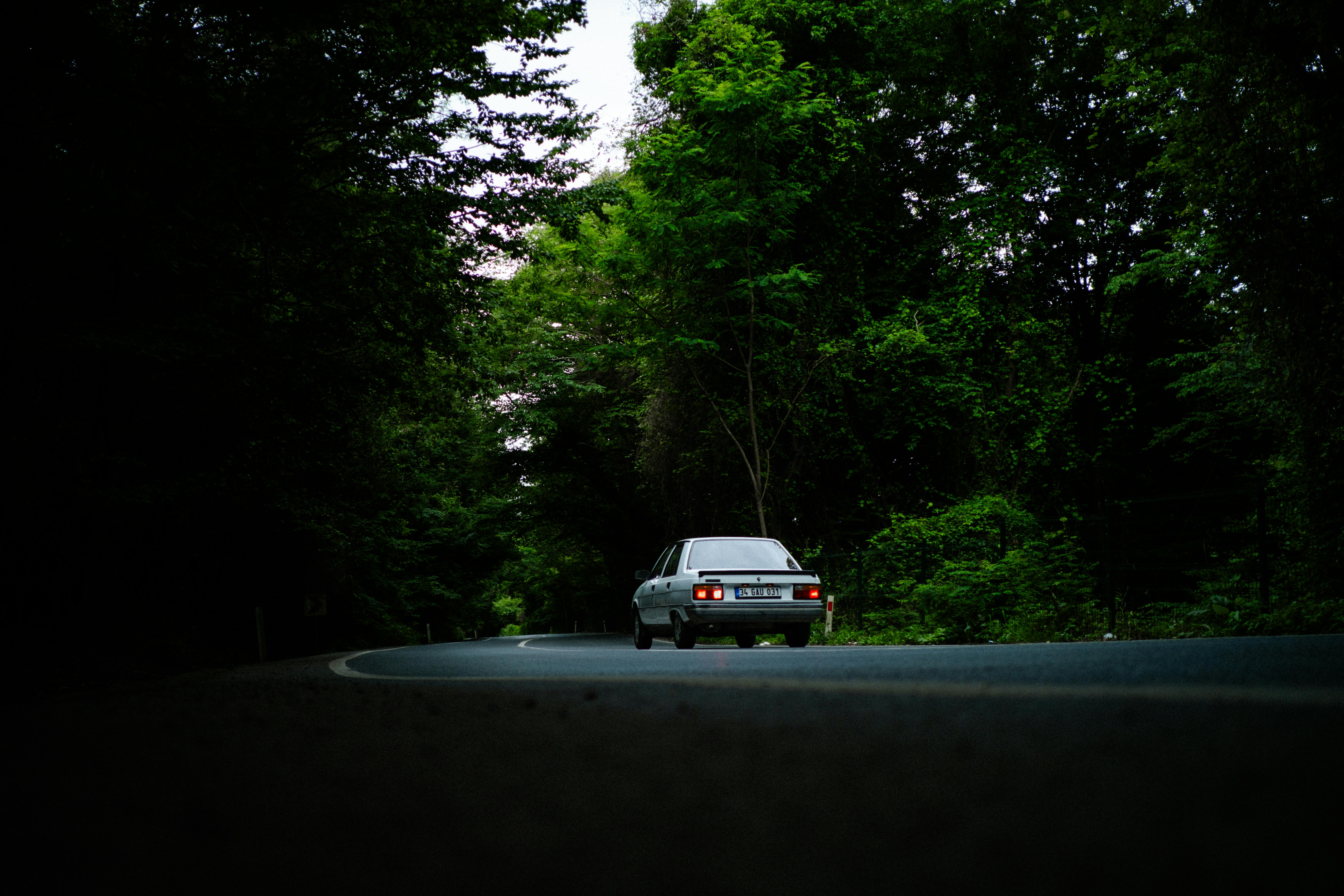A Car Driving on the Street between the Trees · Free Stock Photo