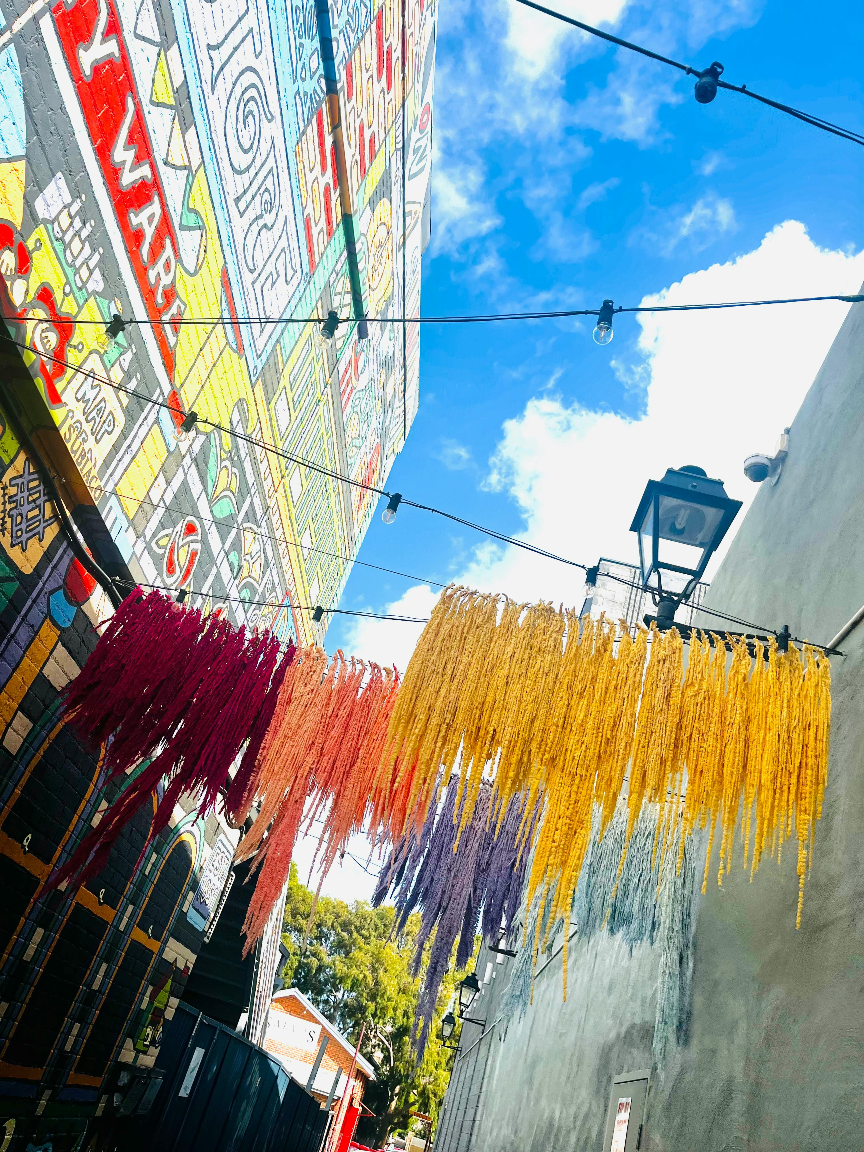 bernadette lariosa - Photography