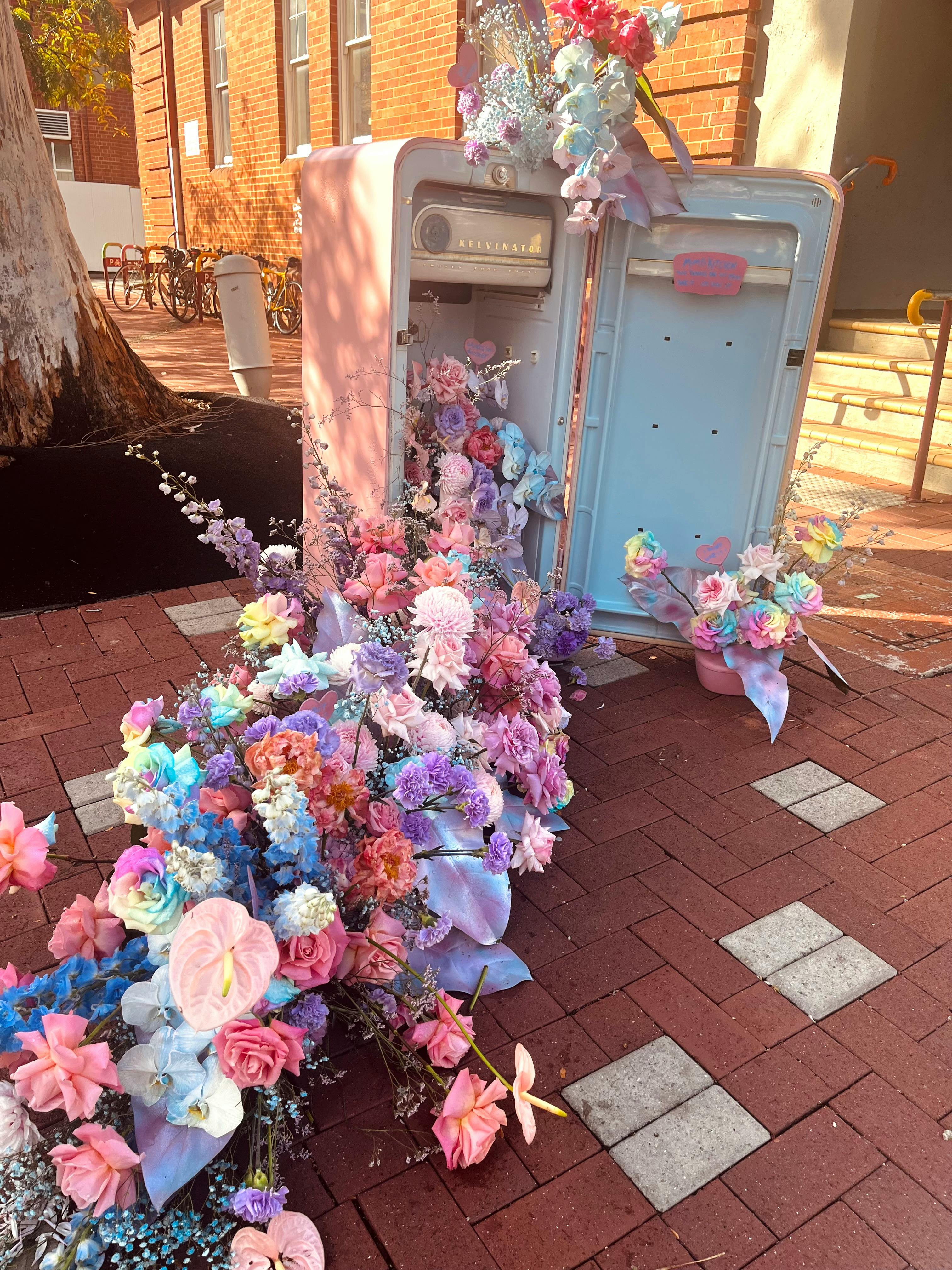 bernadette lariosa - Photography