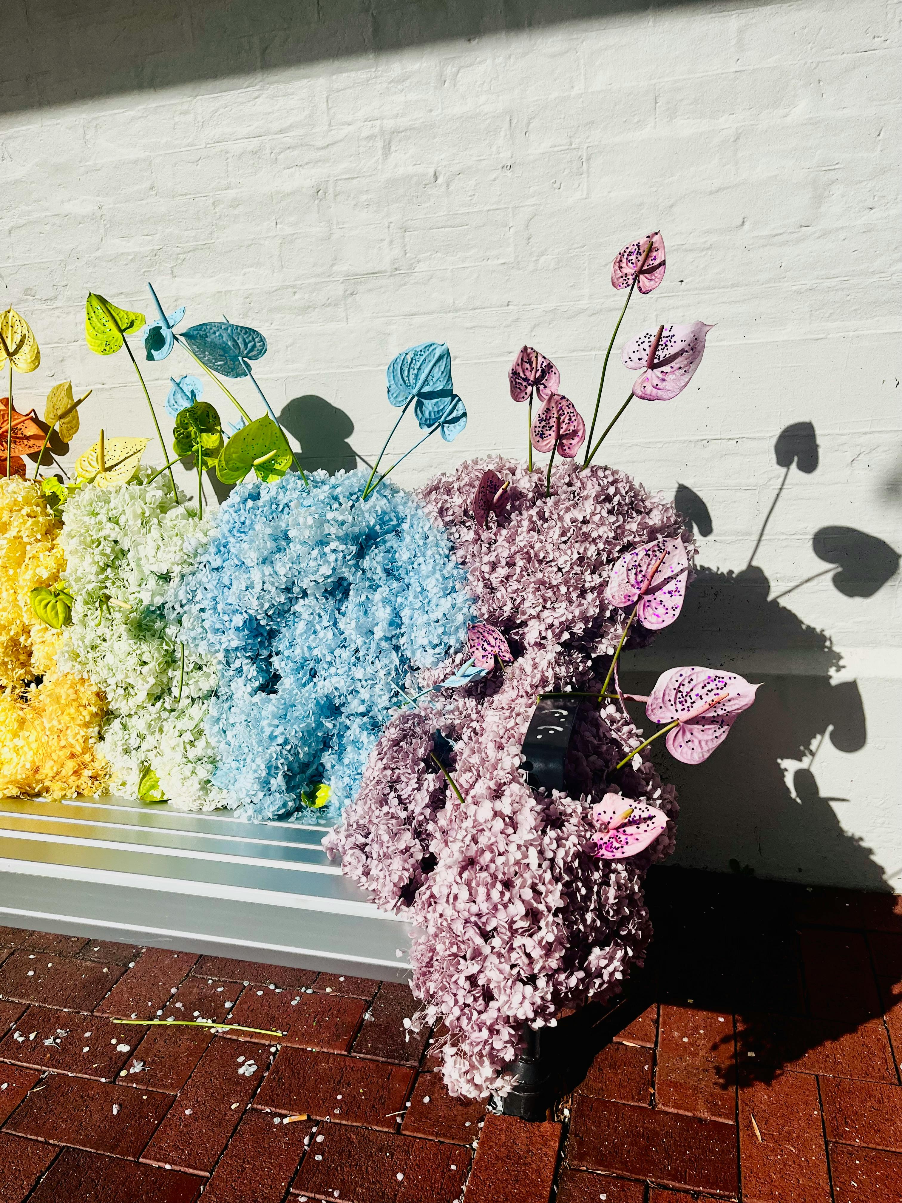 bernadette lariosa - Photography