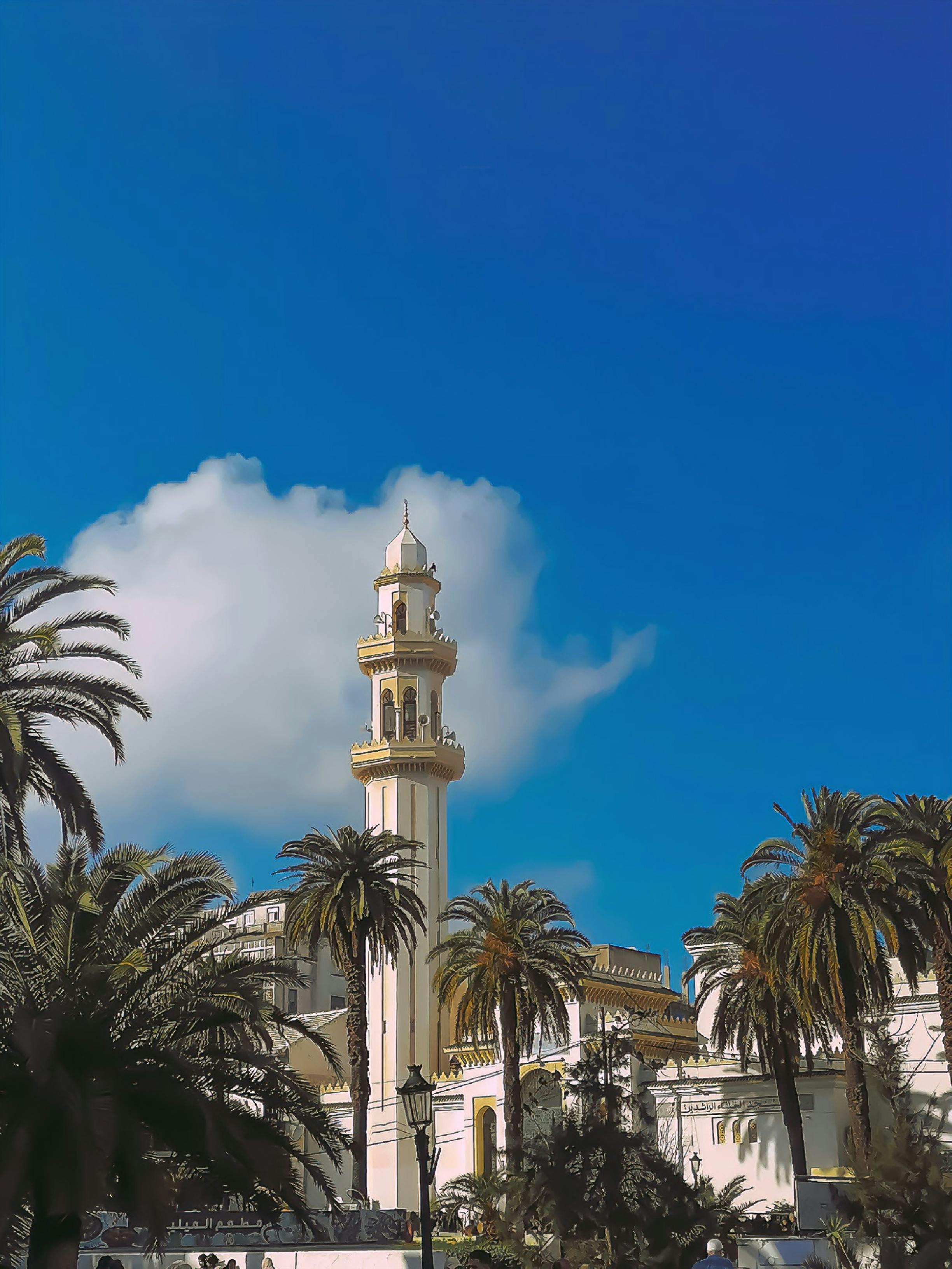 Inheritance Photos, Download The BEST Free Inheritance Stock Photos ...