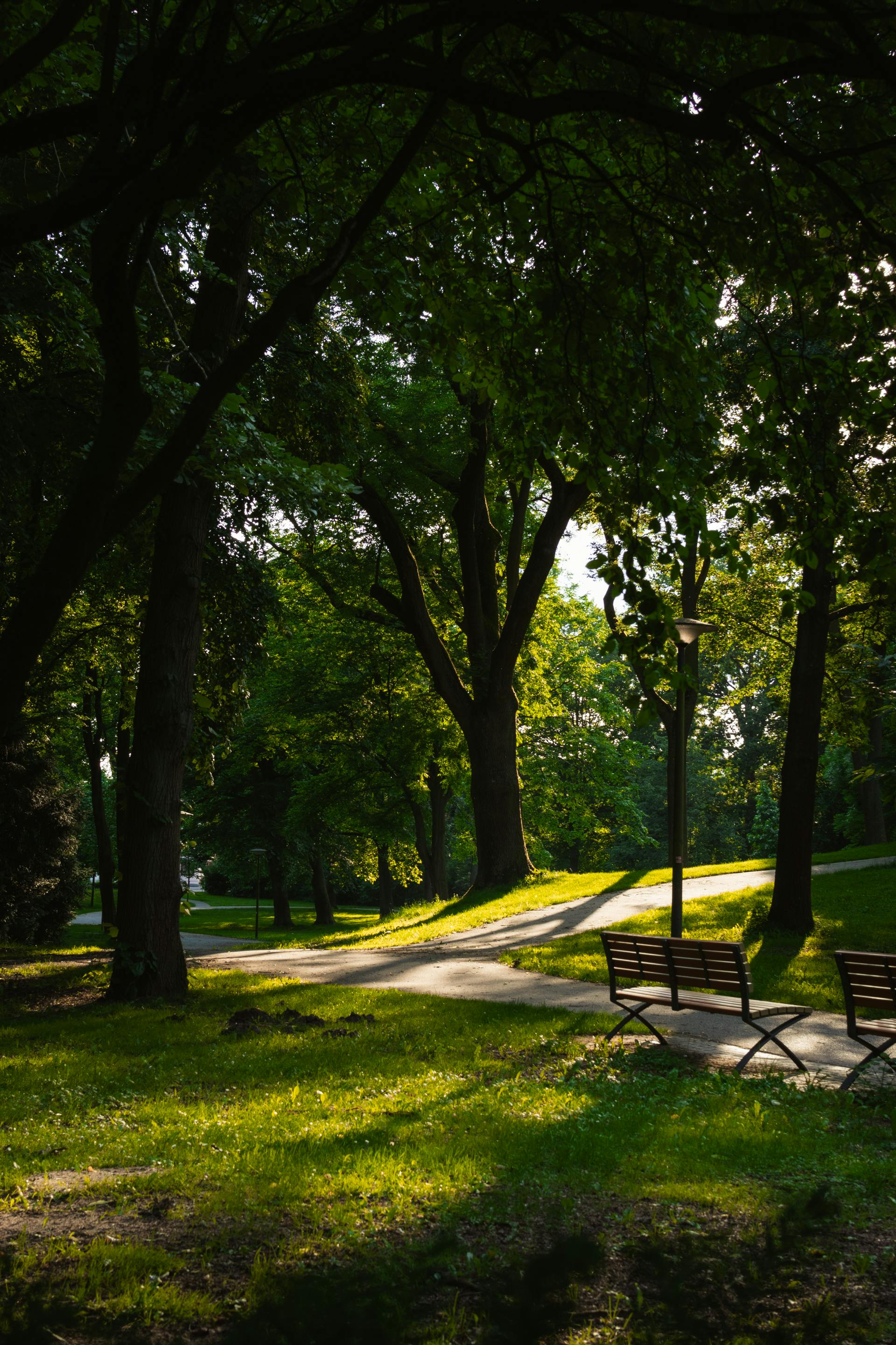 Image Gallery with JavaScript | CodingNepal