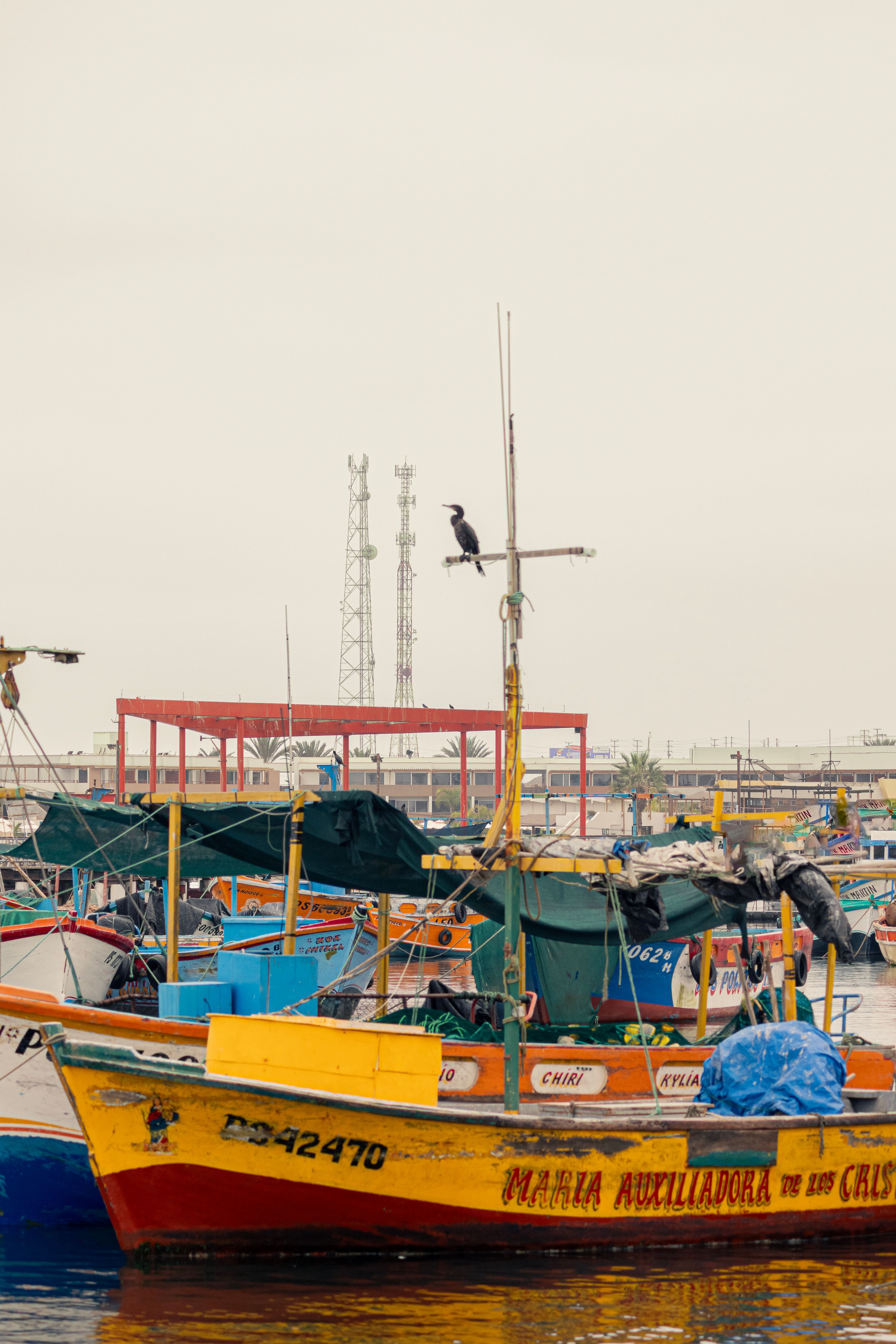 Mast Peru Photos, Download The BEST Free Mast Peru Stock Photos & HD Images