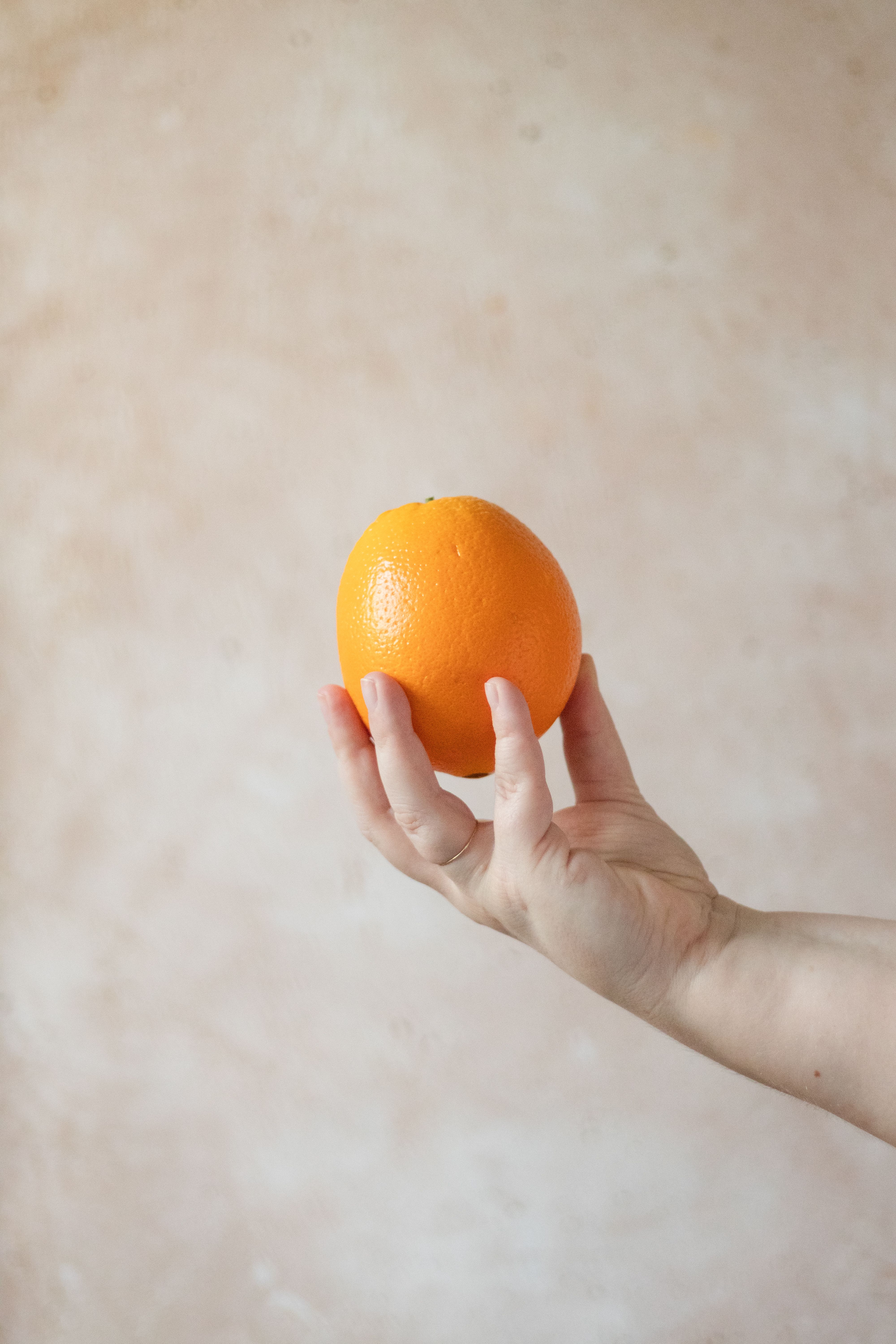 Foto de stock gratuita sobre #interior, alimentación saludable ...