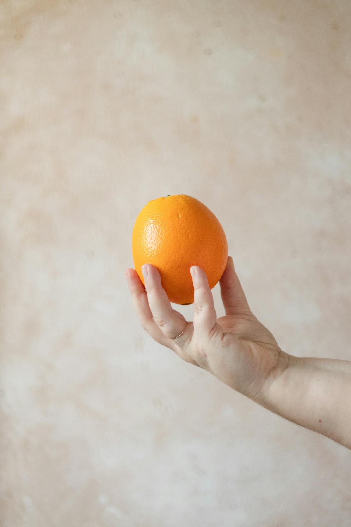 Hand Holding Object Photos, Download The BEST Free Hand Holding Object ...