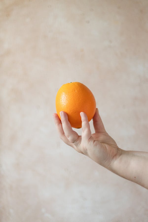 Hand Holding Object Photos, Download The BEST Free Hand Holding Object ...