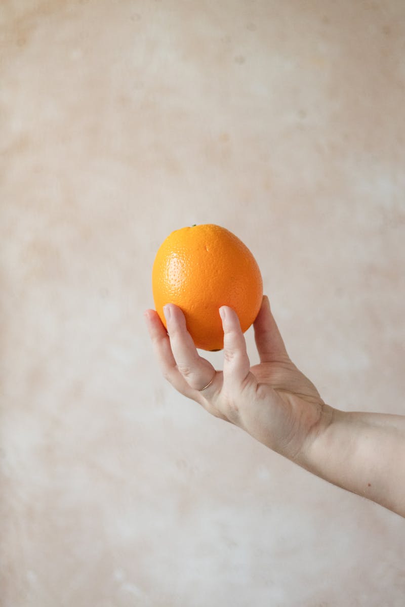 Hand Holding Object Photos, Download The BEST Free Hand Holding Object ...