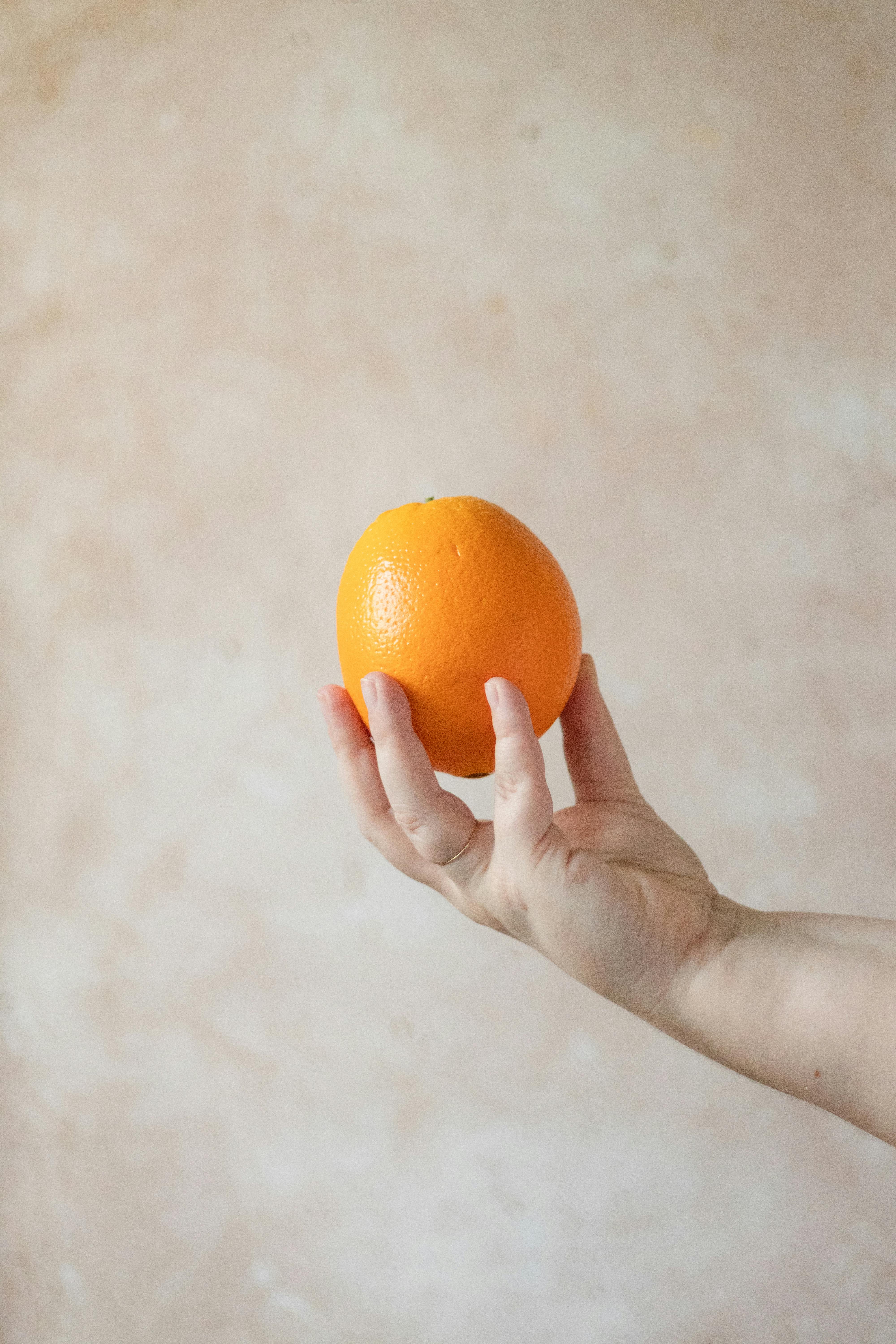 Foto de stock gratuita sobre #interior, alimentación saludable ...
