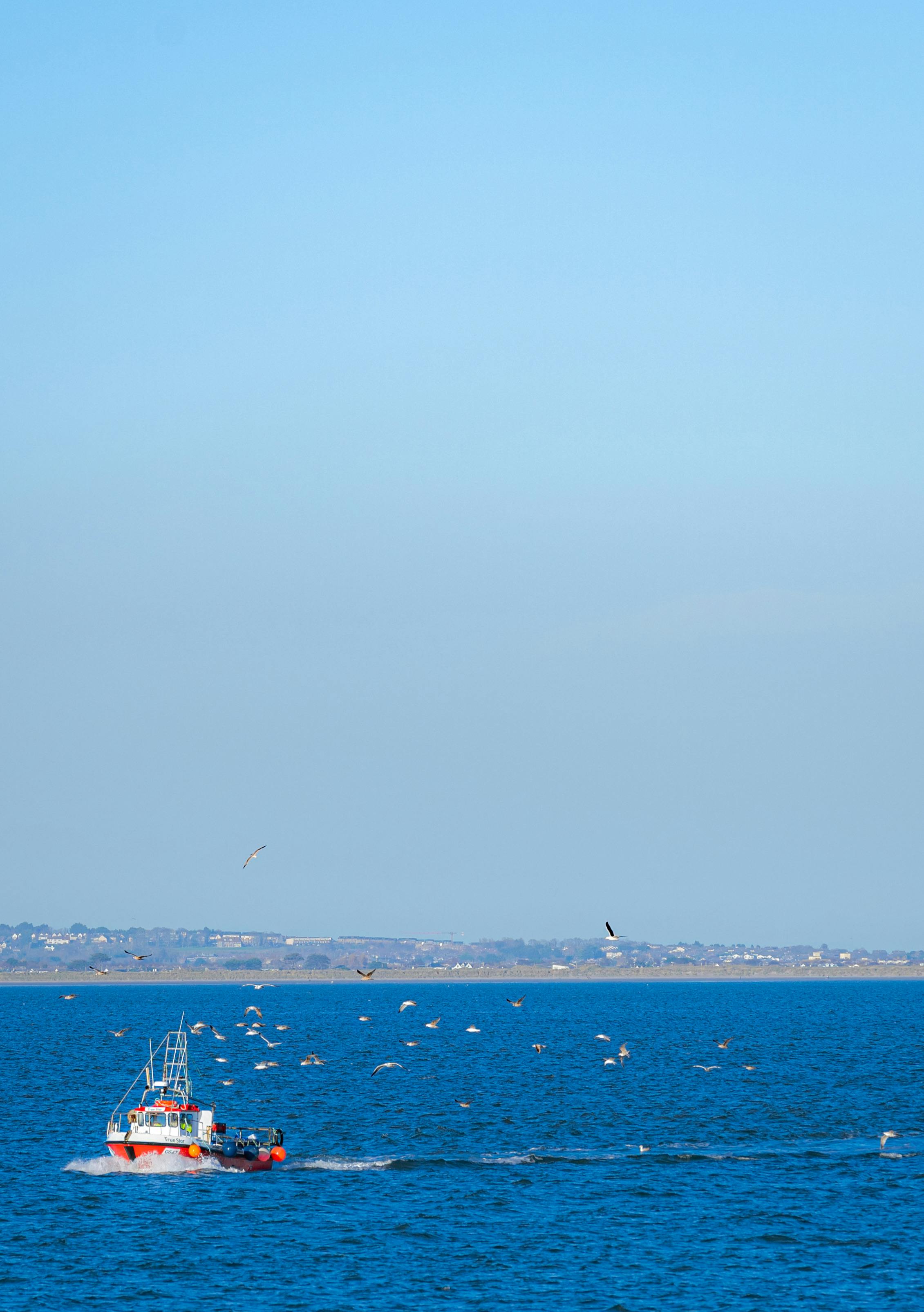 Letras De Hale Blue Sky Photos, Download The BEST Free Letras De Hale ...