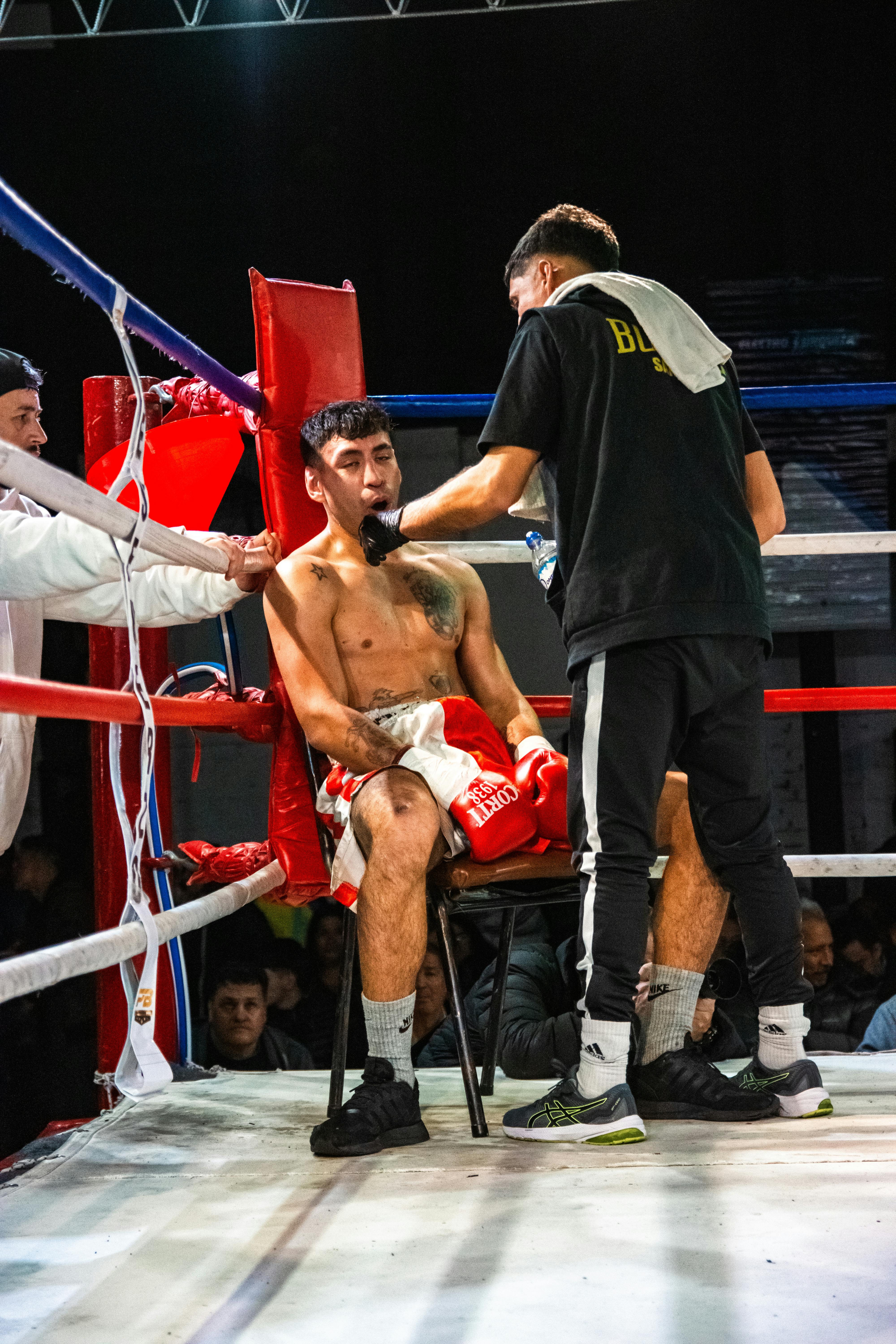 Folk Boxer Photos, Download The BEST Free Folk Boxer Stock Photos & HD ...