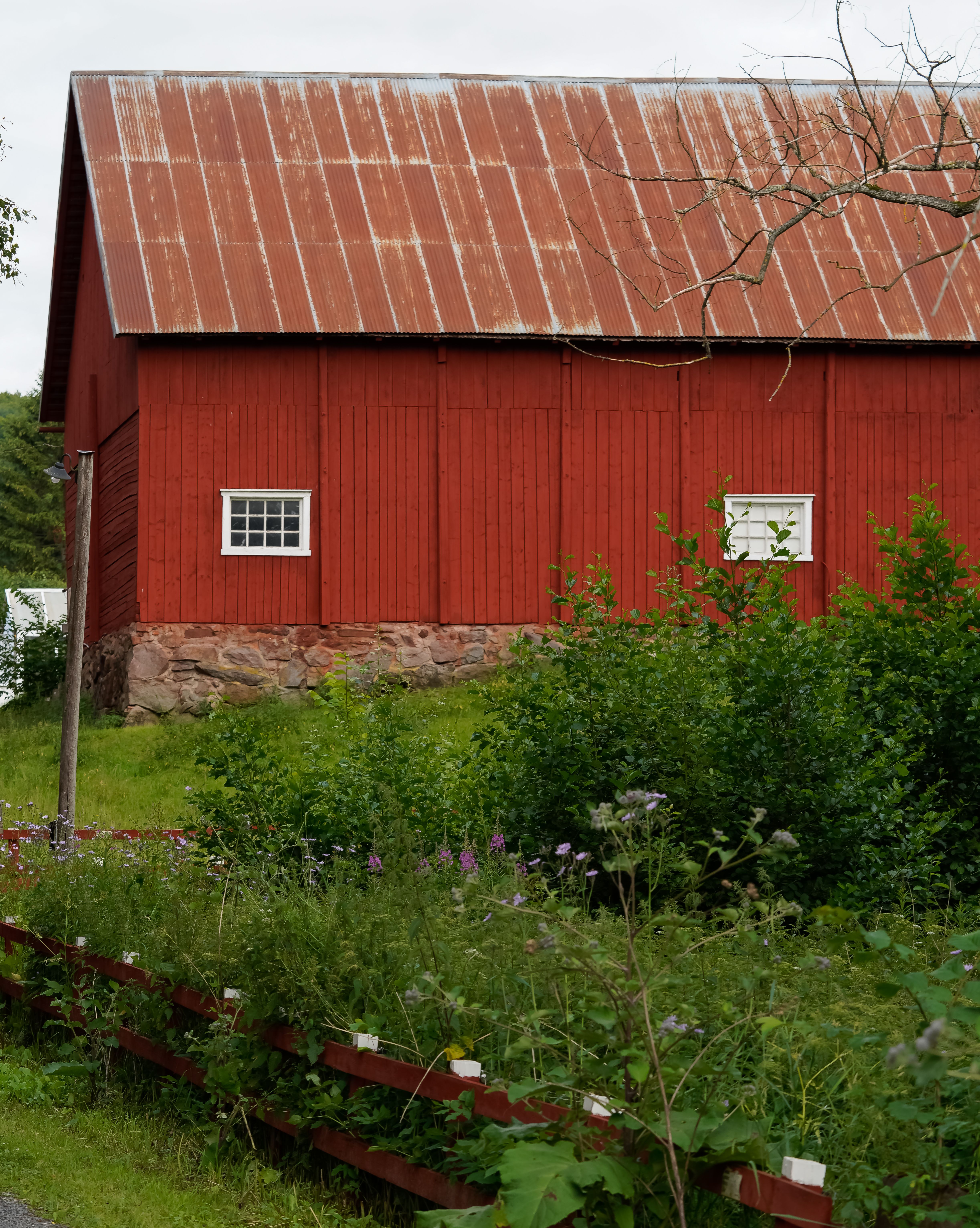 Shrubs in Front of a Barn · Free Stock Photo
