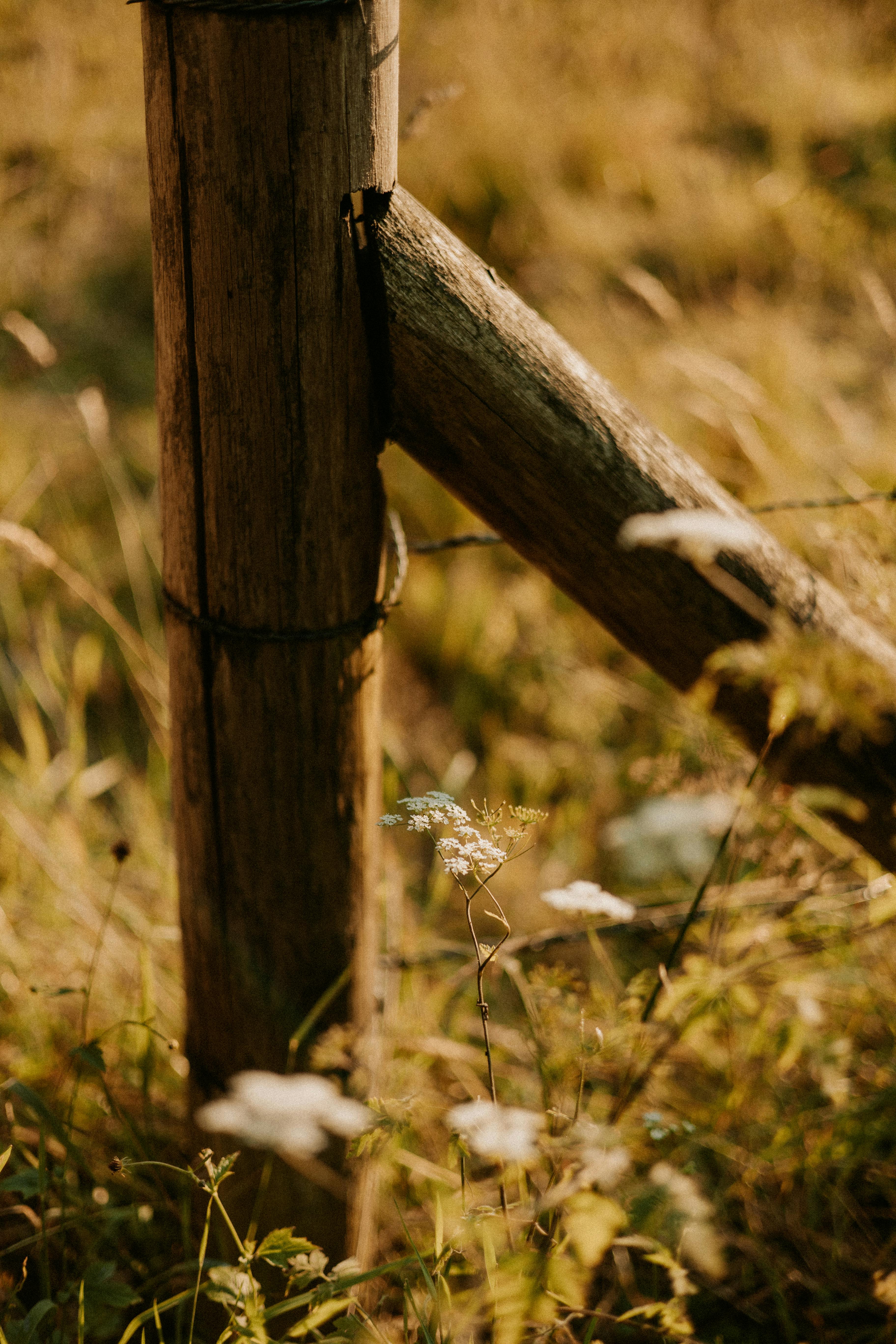 Country Vintage Landscape Background Photos, Download The BEST Free ...