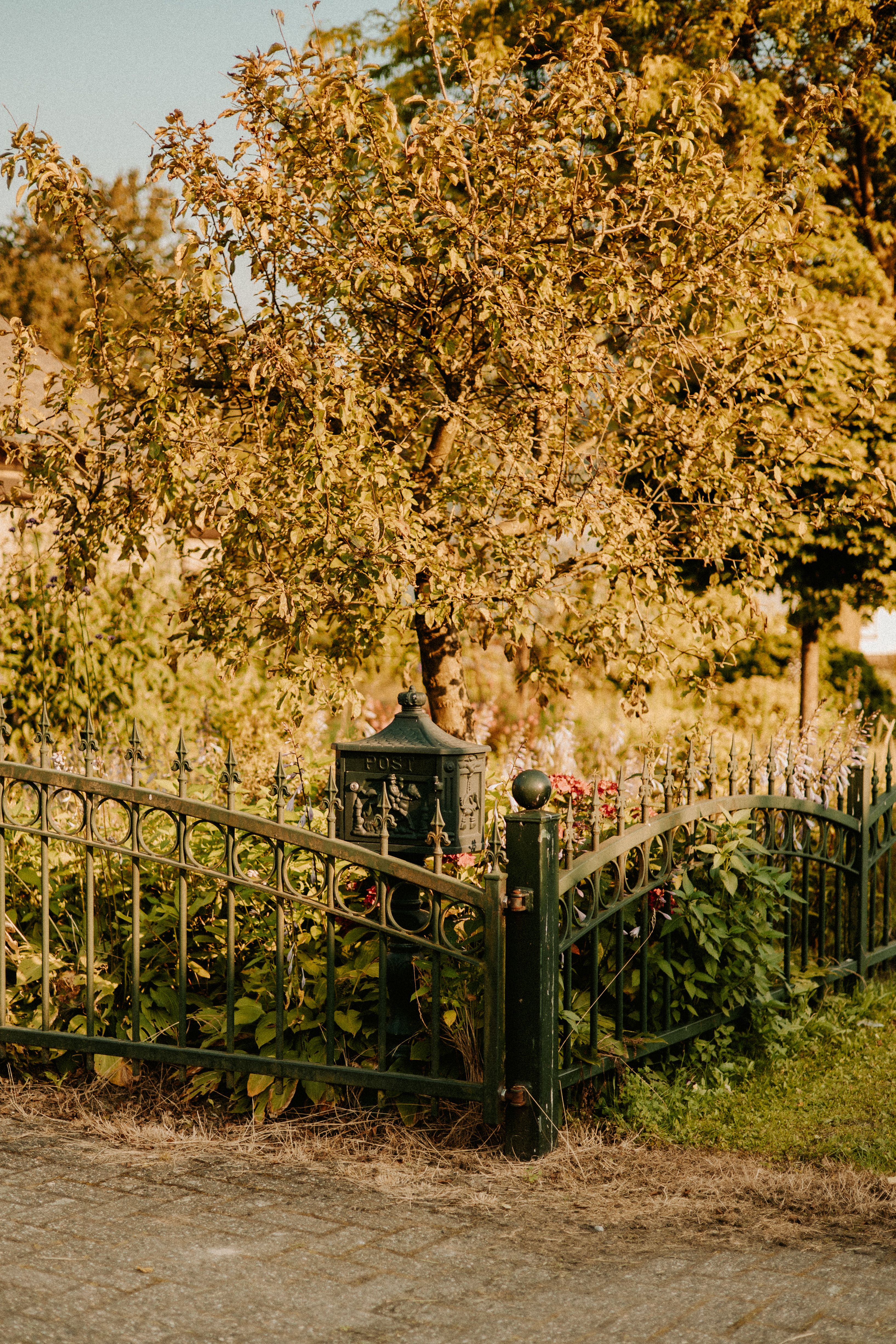 Mailbox Vintage/Film · Free Stock Photo