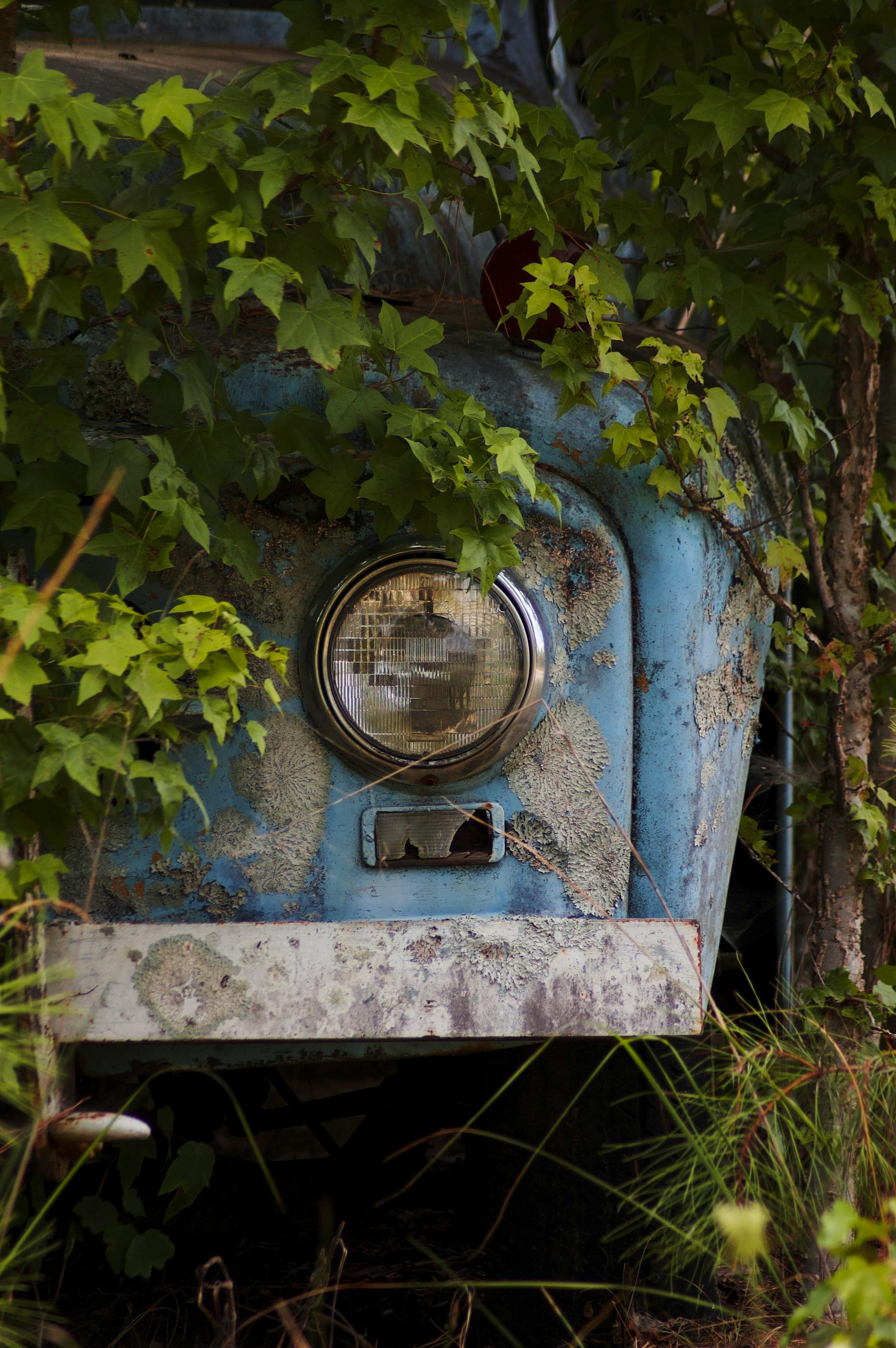 Hidden Avatar Photos, Download The BEST Free Hidden Avatar Stock Photos ...