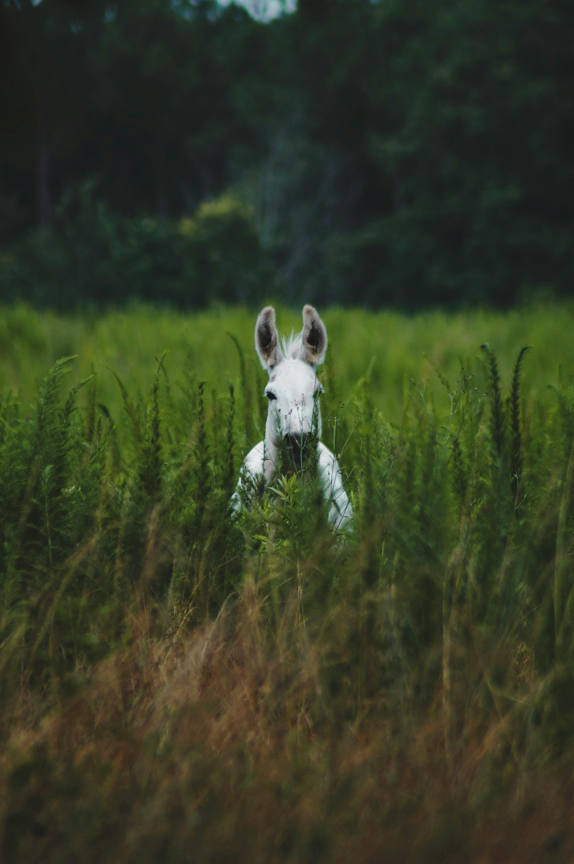 Bokep+Memek+Mulus Photos, Download The BEST Free Bokep+Memek+Mulus Stock Photos & HD Images