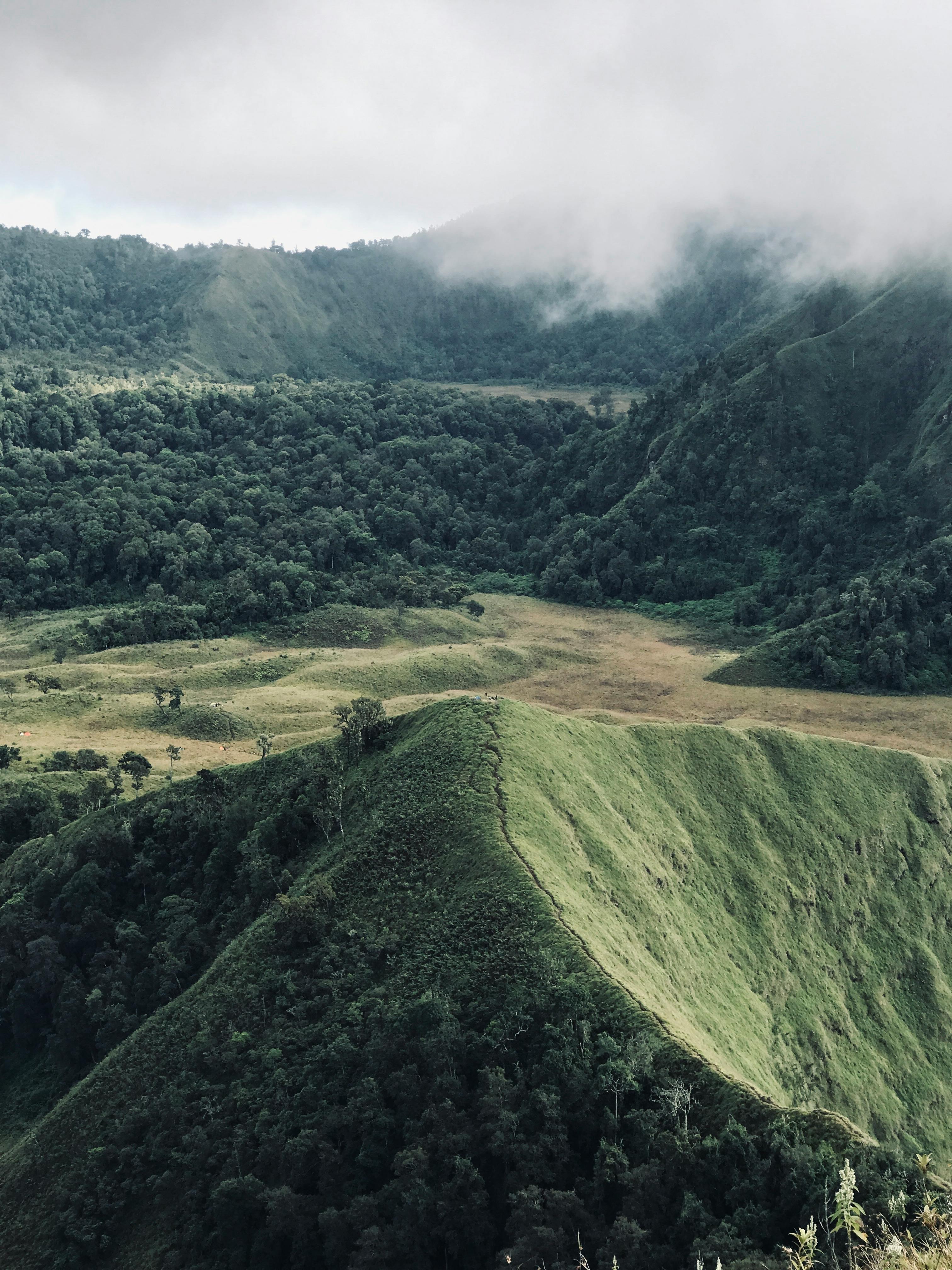 Green Hilly Landscape · Free Stock Photo