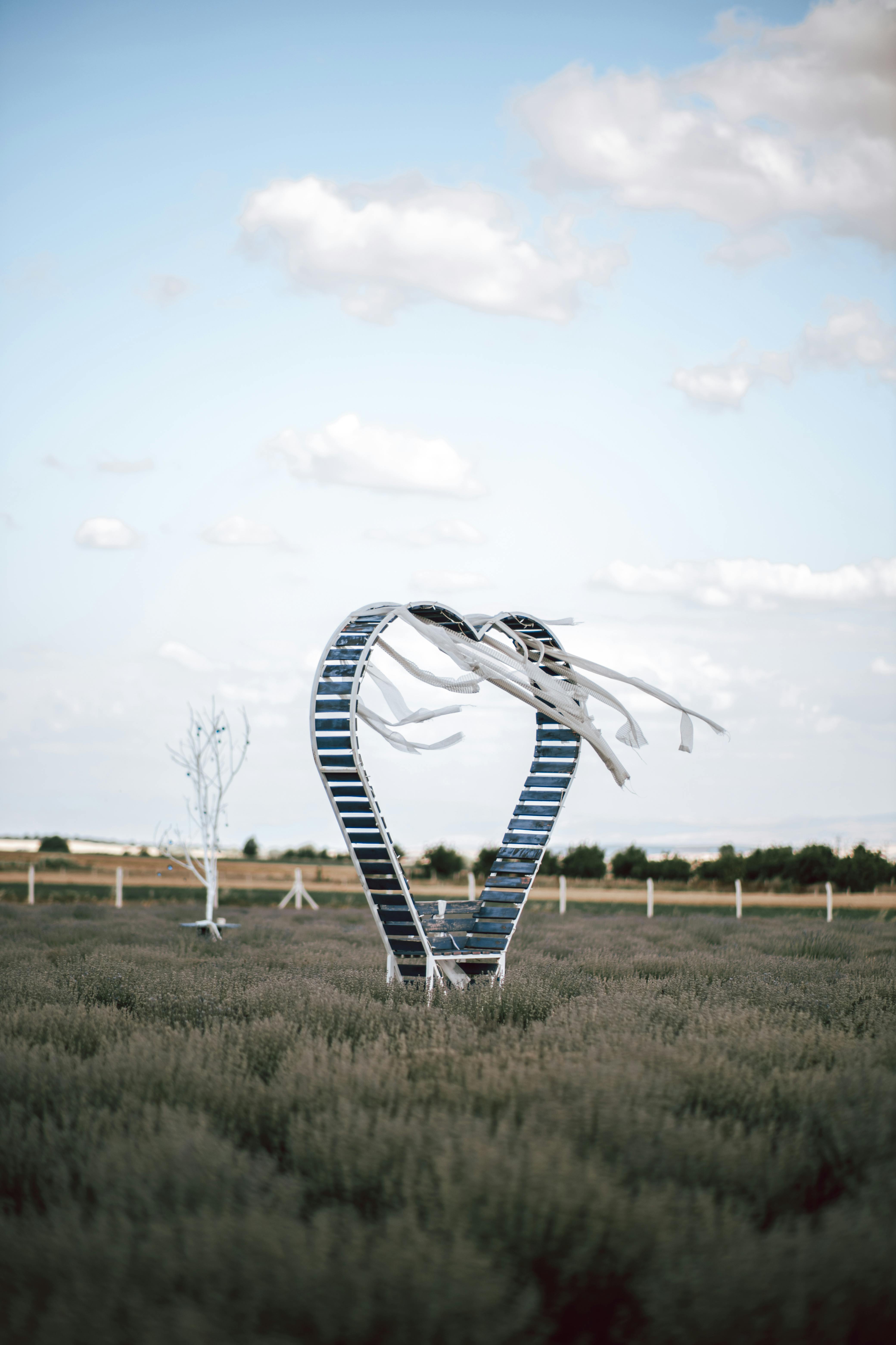 Image Gallery with JavaScript | CodingNepal