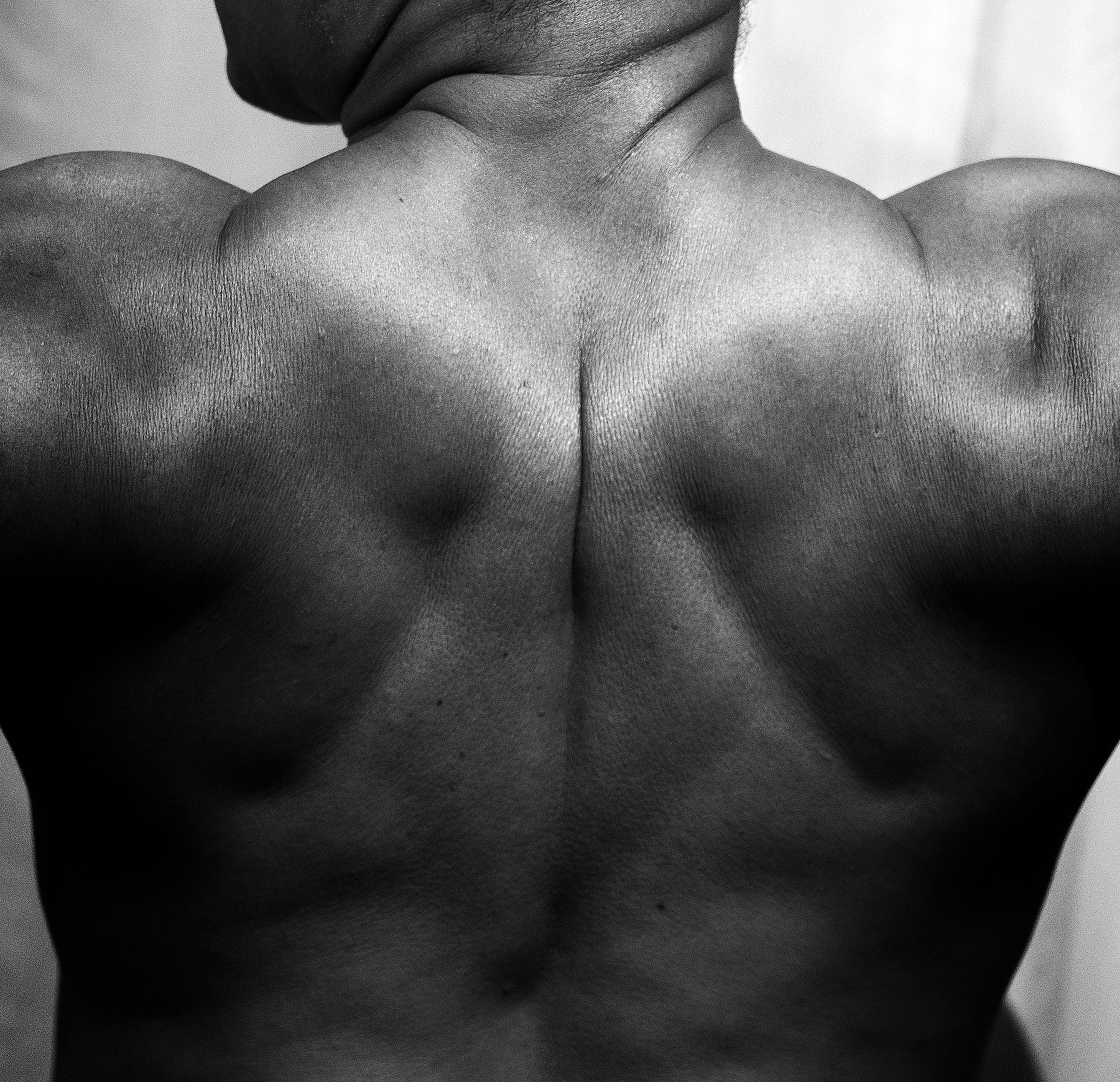 Strong Maria Photos, Download The BEST Free Strong Maria Stock Photos ...