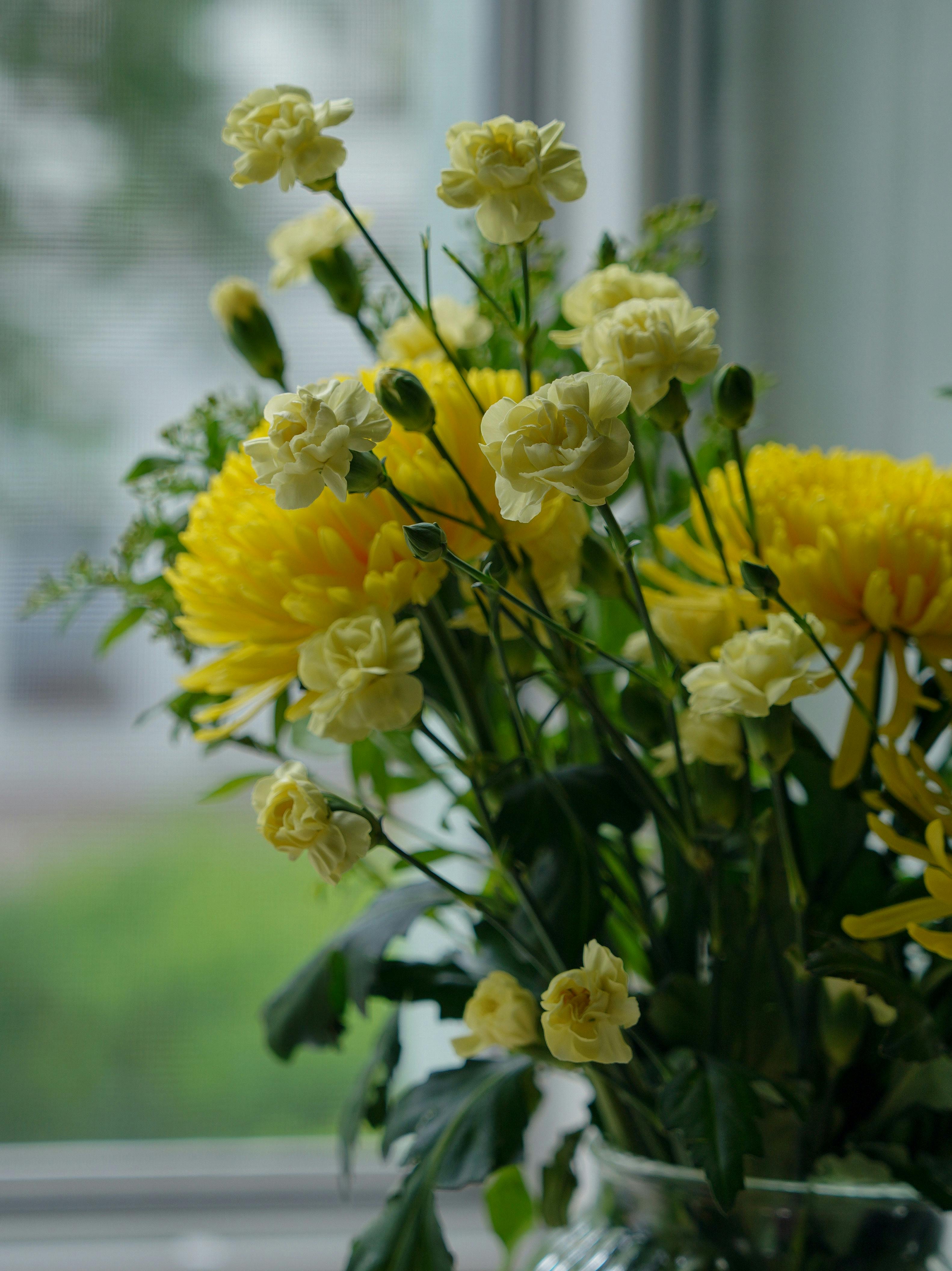 Yellow Mums, Orange Peruvian Lilies, and Carnation Flower Arrangement ...