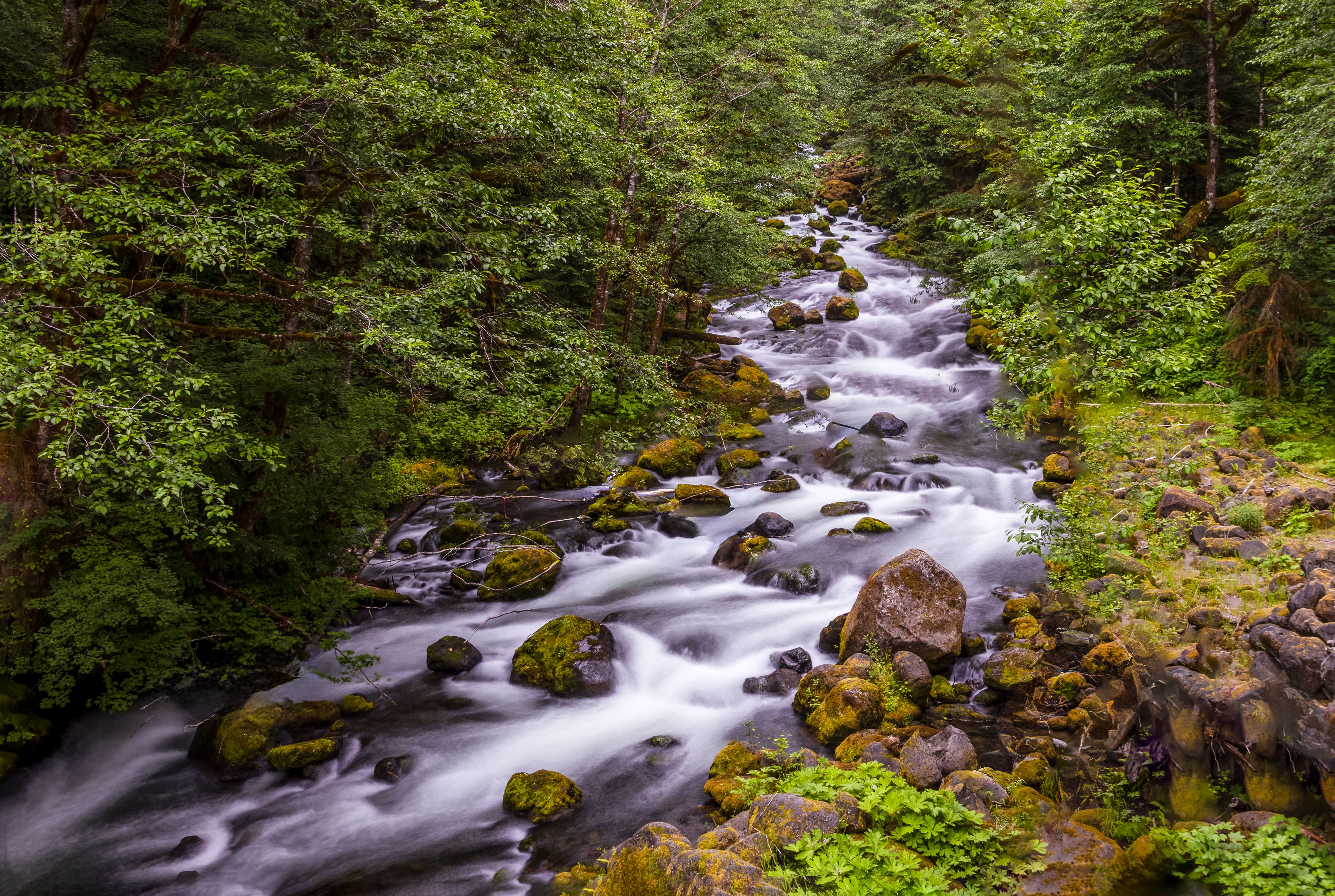 Rogue River Photos, Download The BEST Free Rogue River Stock Photos ...