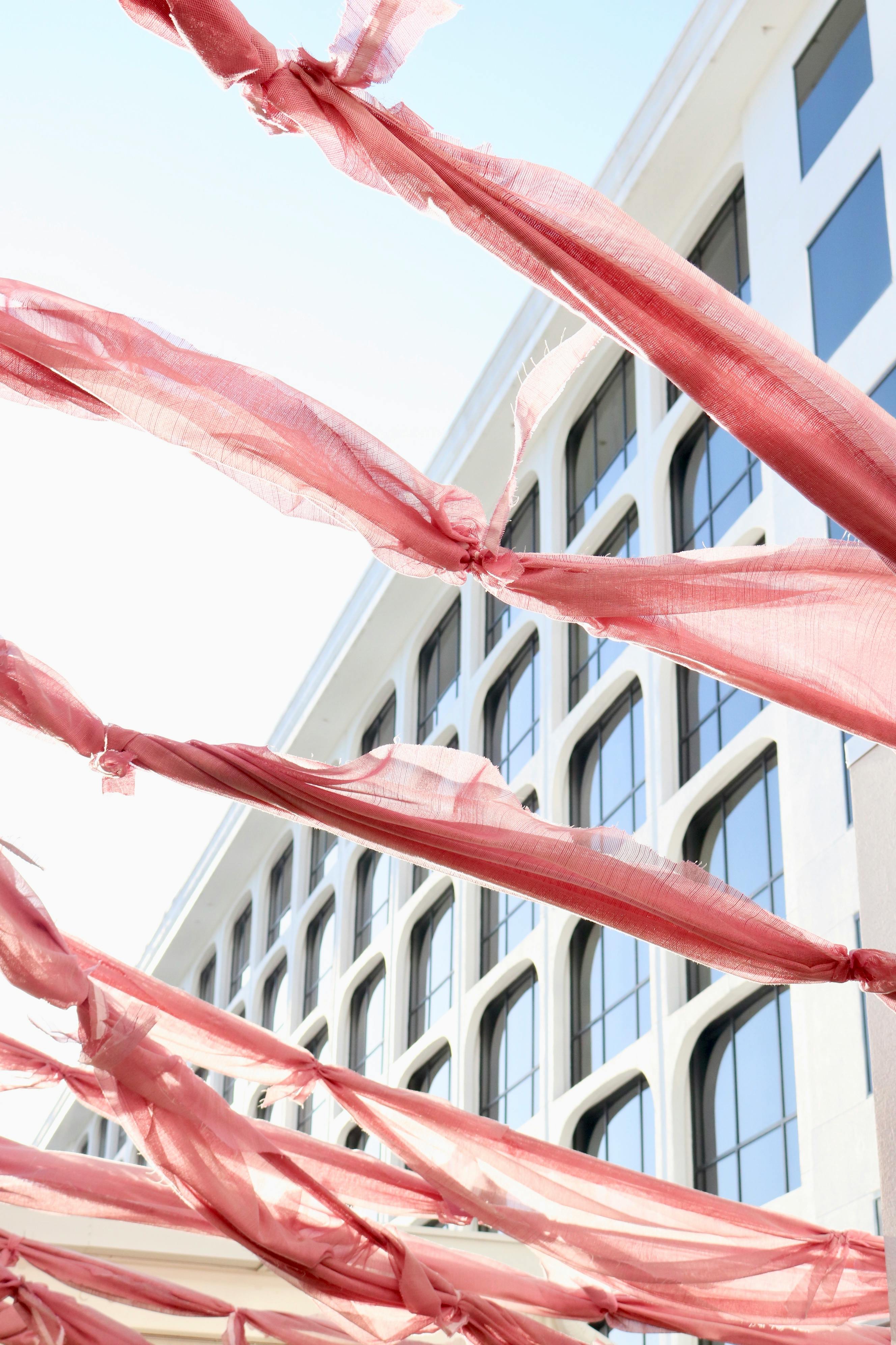 Windows Installation Photos, Download The BEST Free Windows ...