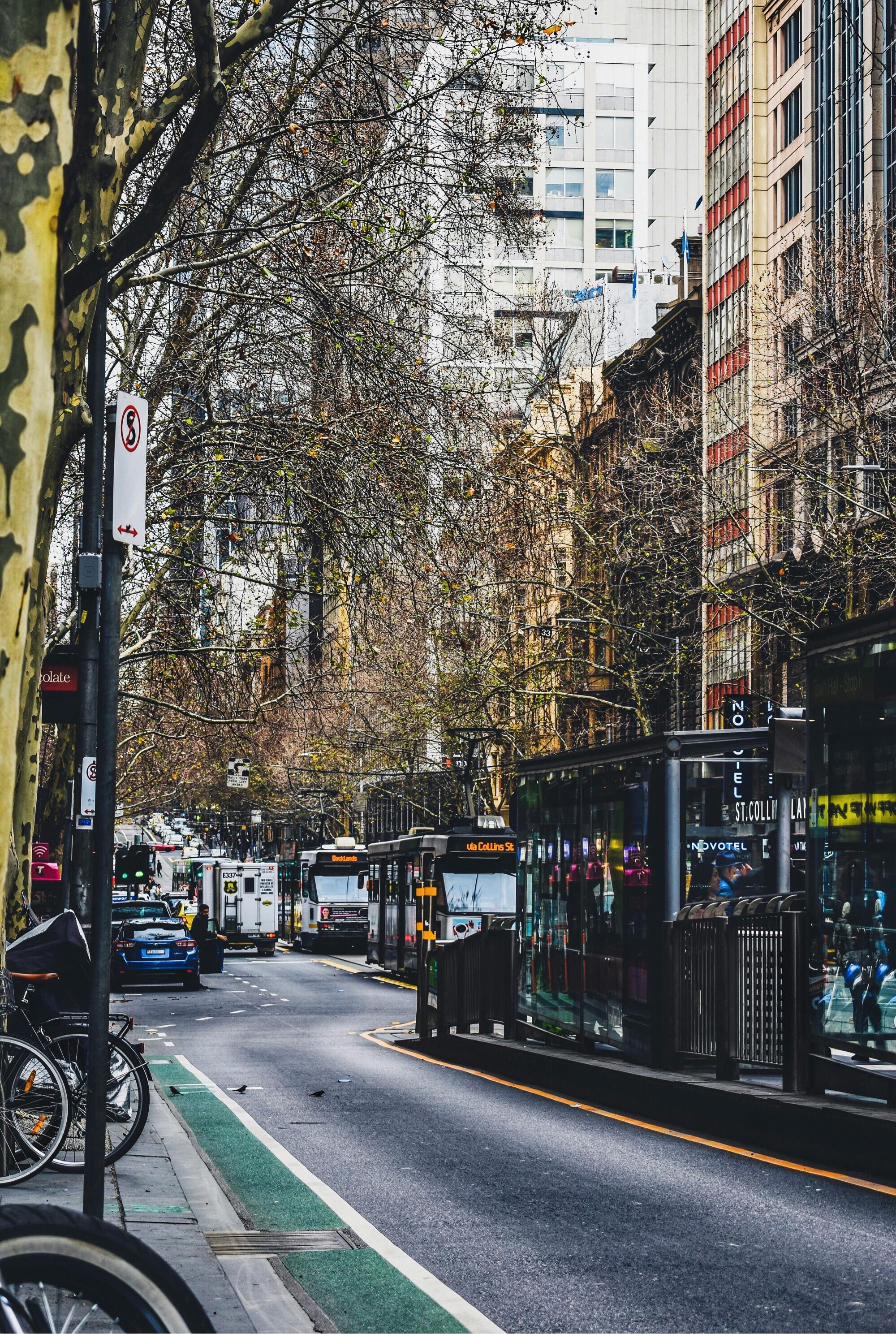 How to Pollinate Spike Plant: Increase Your Yield | Live to Plant