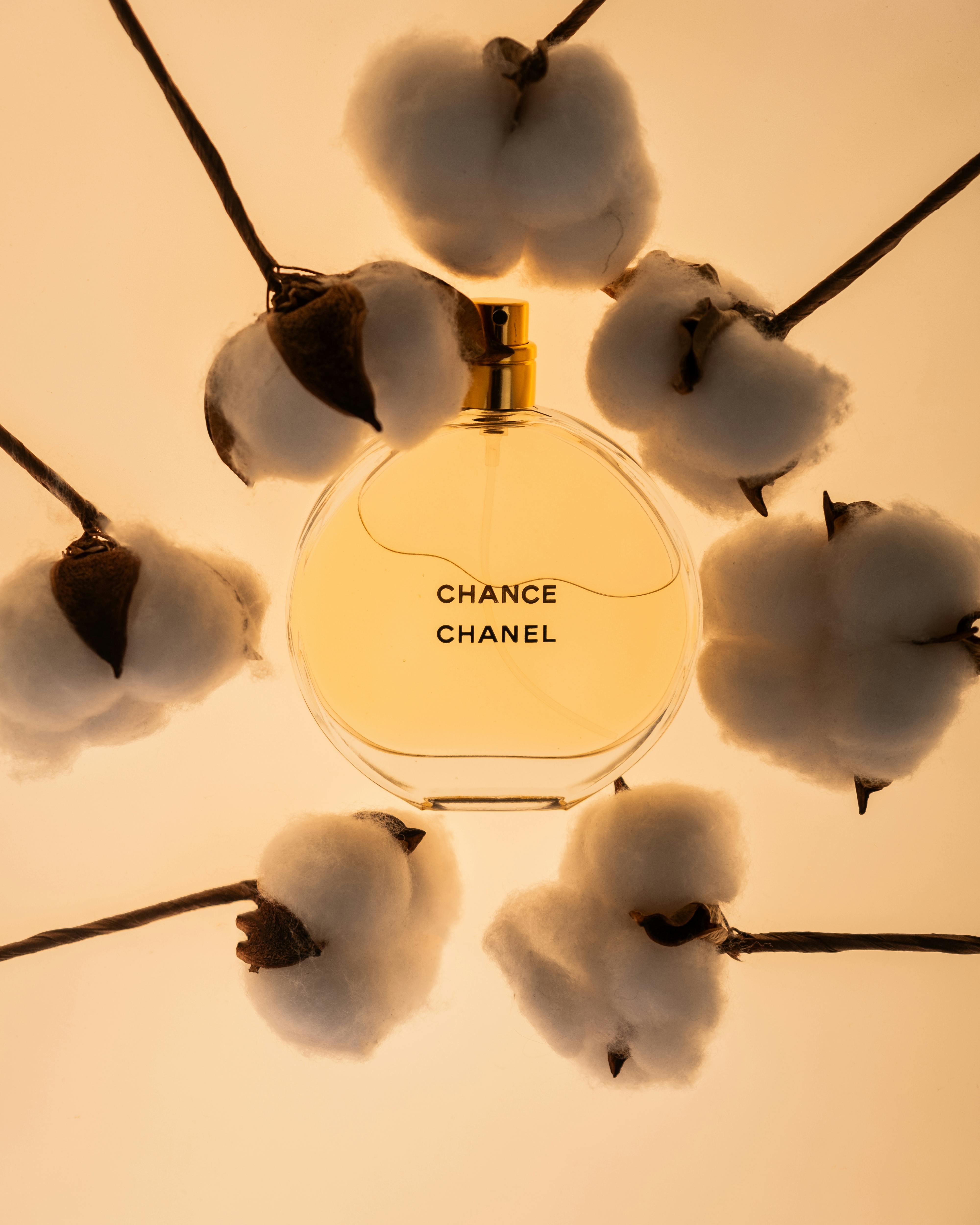 Chanel Chance Perfume Bottle · Free Stock Photo
