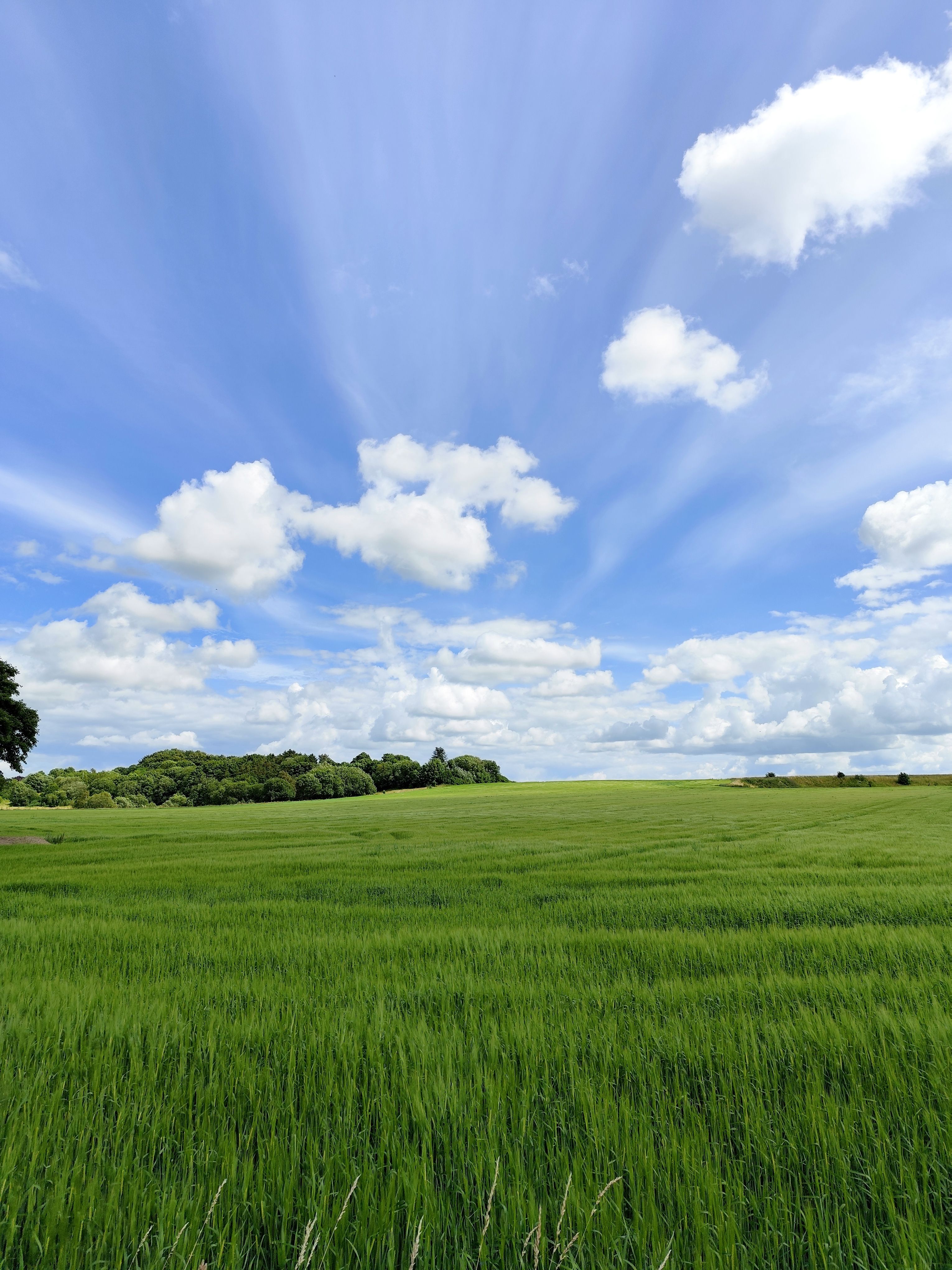 Panoramic Photography of Green Field · Free Stock Photo