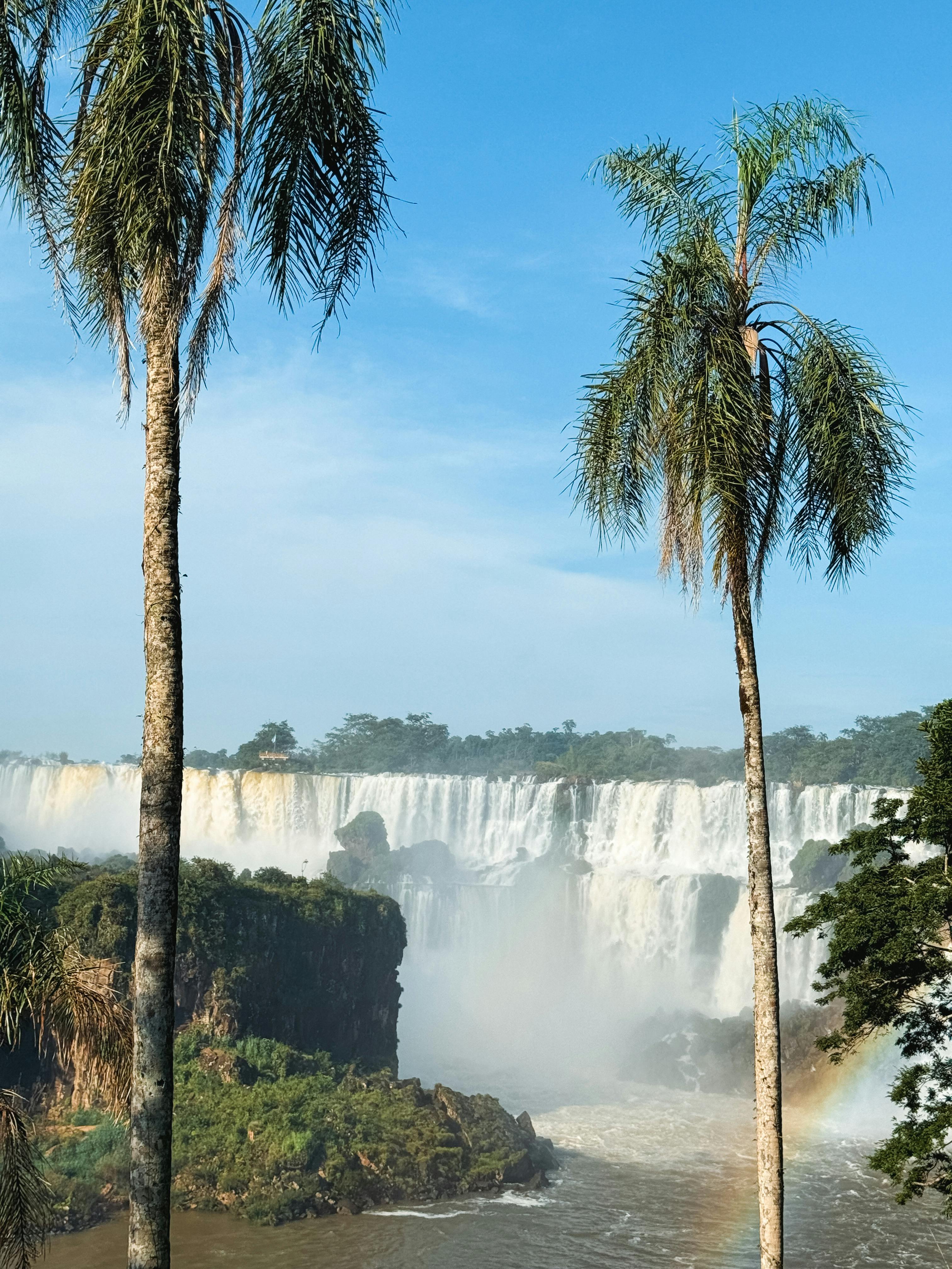 Iguazu falls in brazil with palm trees in the background · Free Stock Photo
