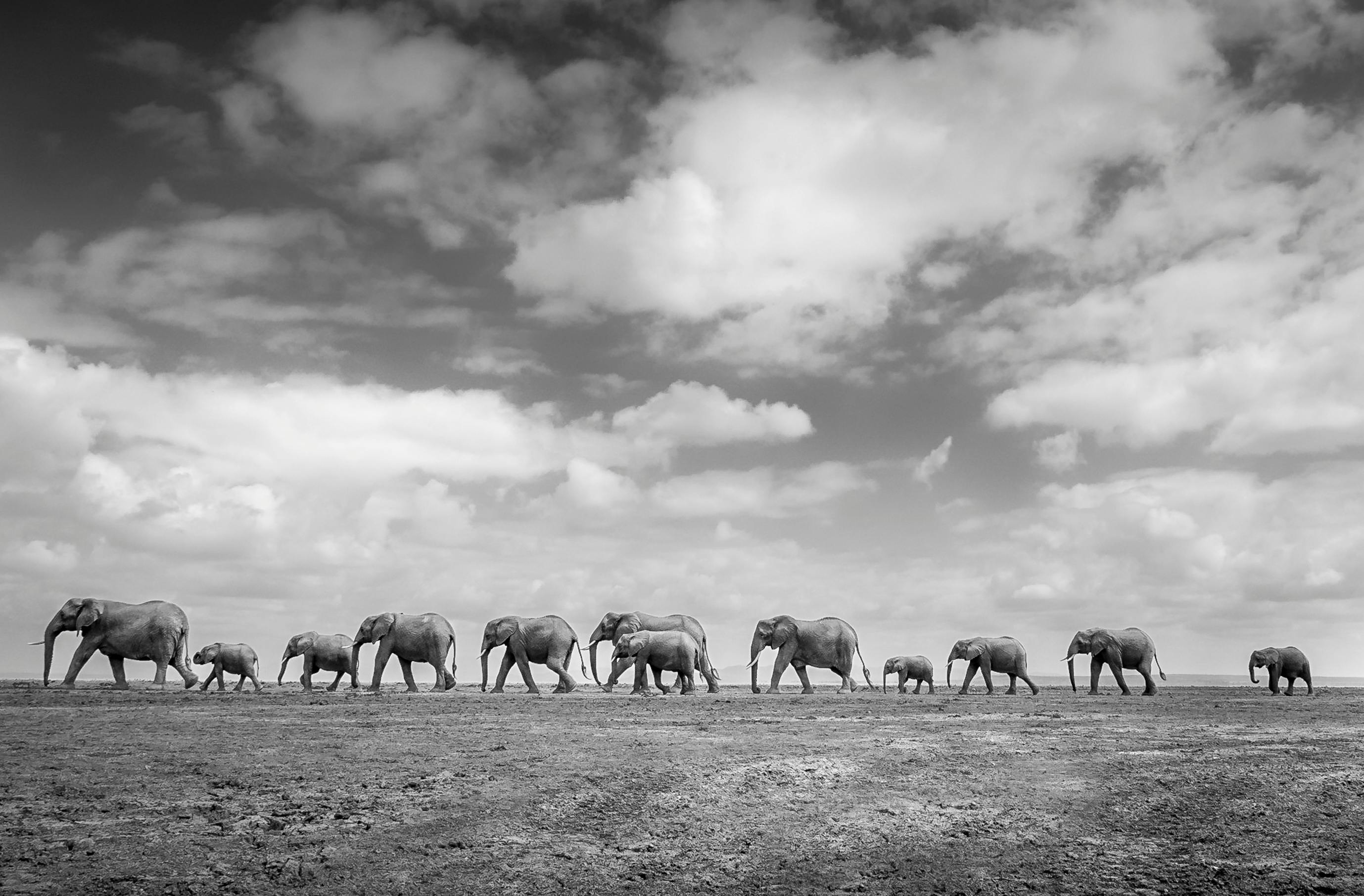 100 000+ Plain Data Dashboard Background banque d’images et photos ...