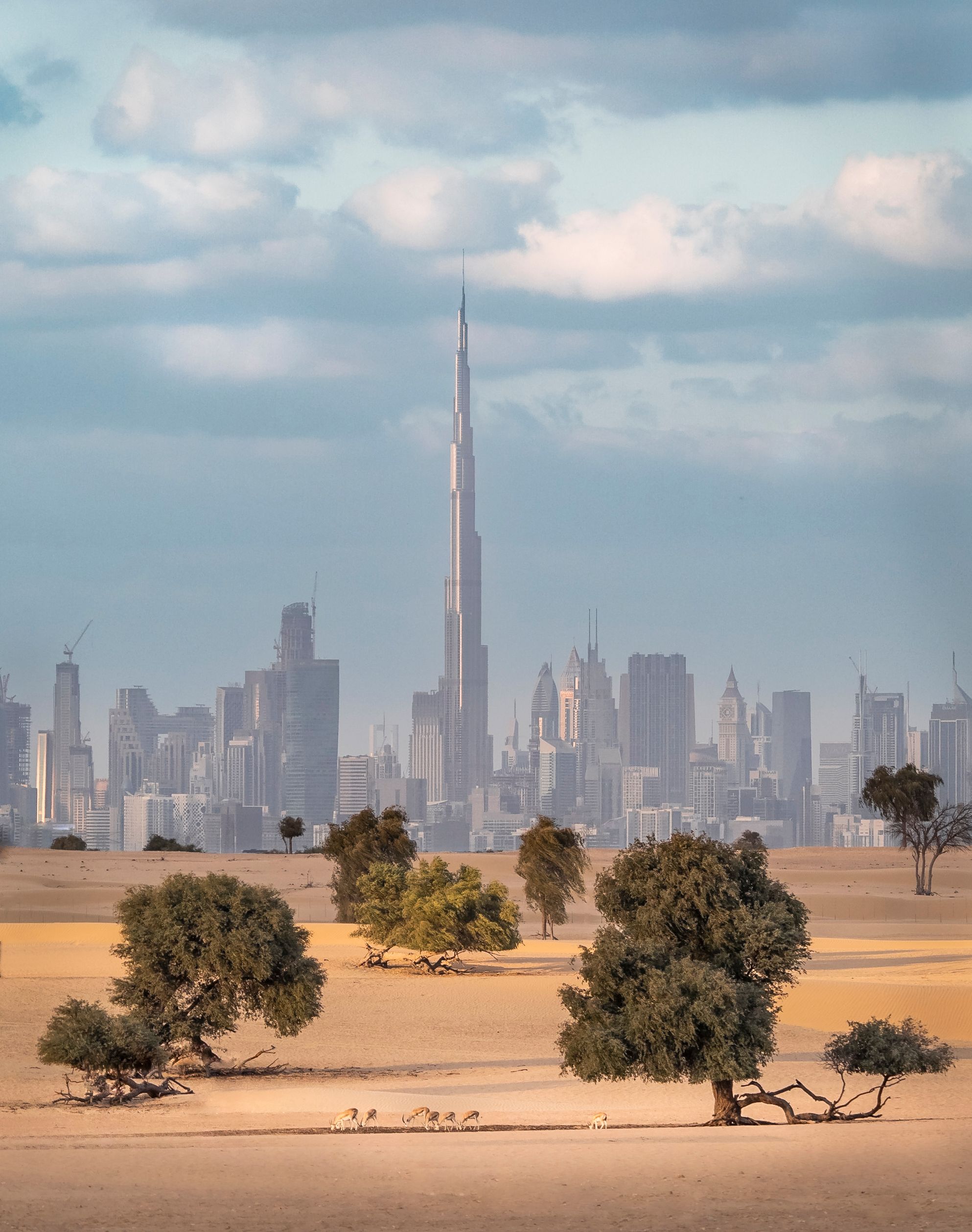 Dubai Landscape Photos, Download The BEST Free Dubai Landscape Stock ...