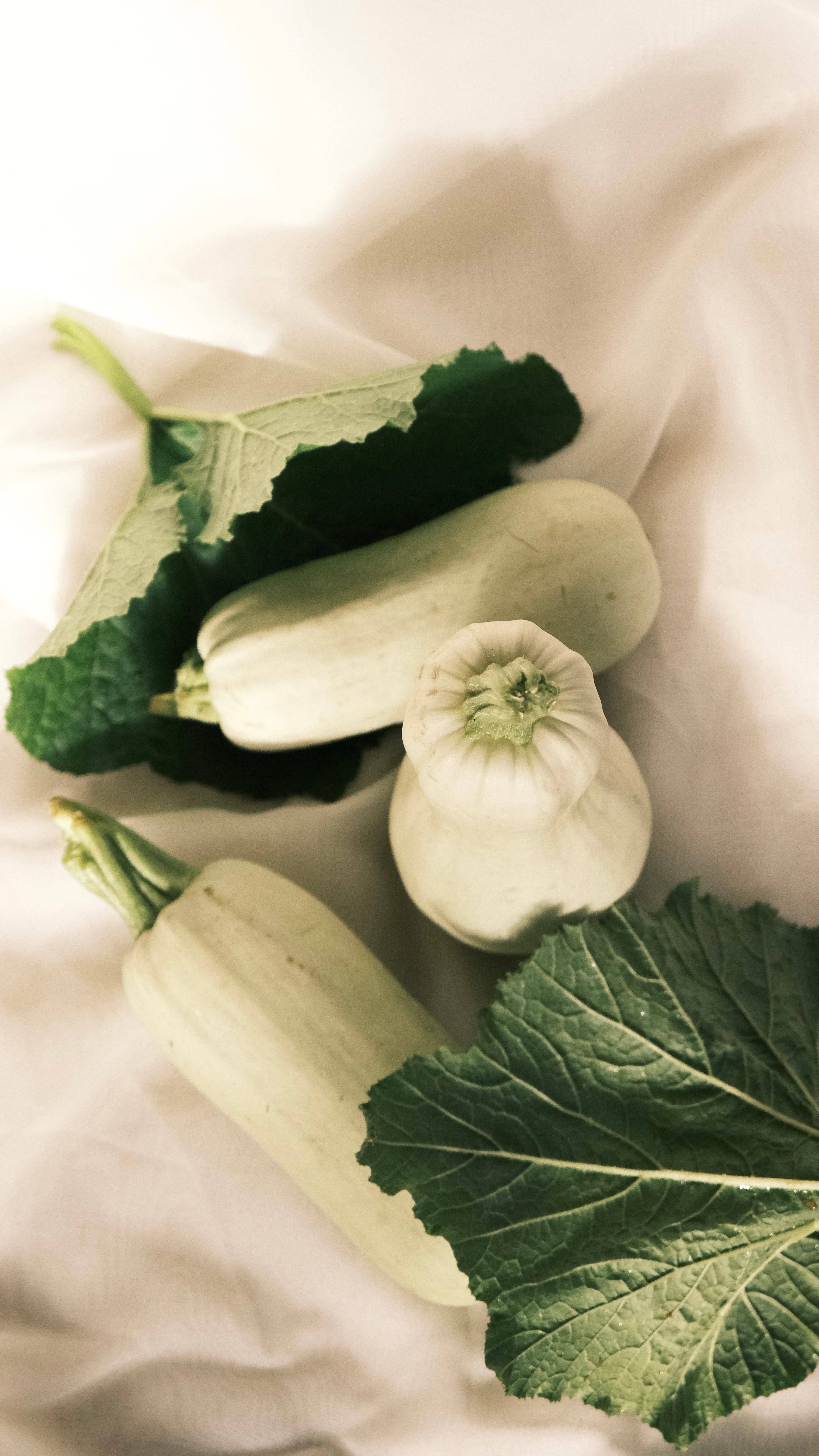 White Vegetable and Leaves · Free Stock Photo