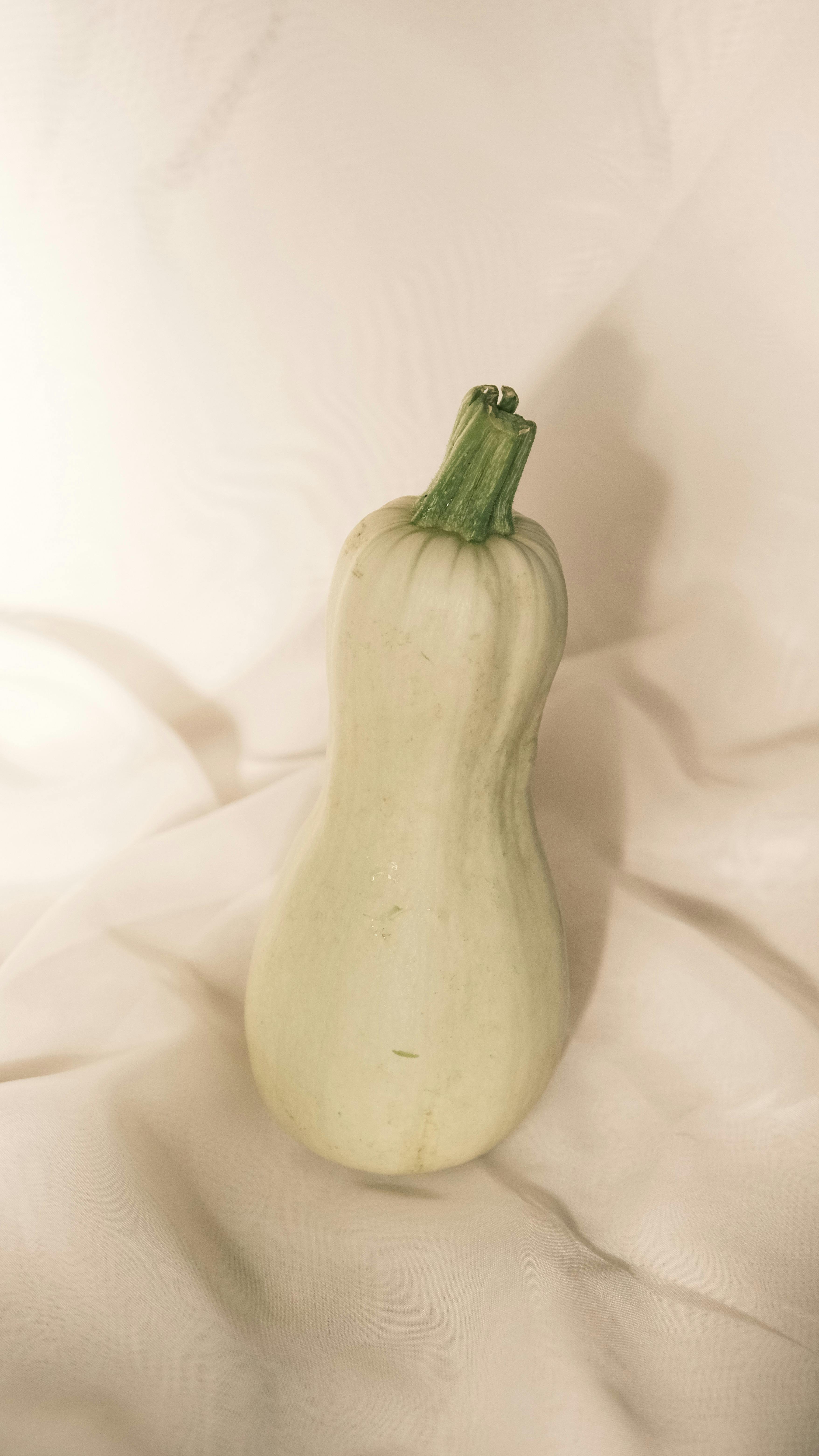 Silk Squash Photos, Download The BEST Free Silk Squash Stock Photos ...