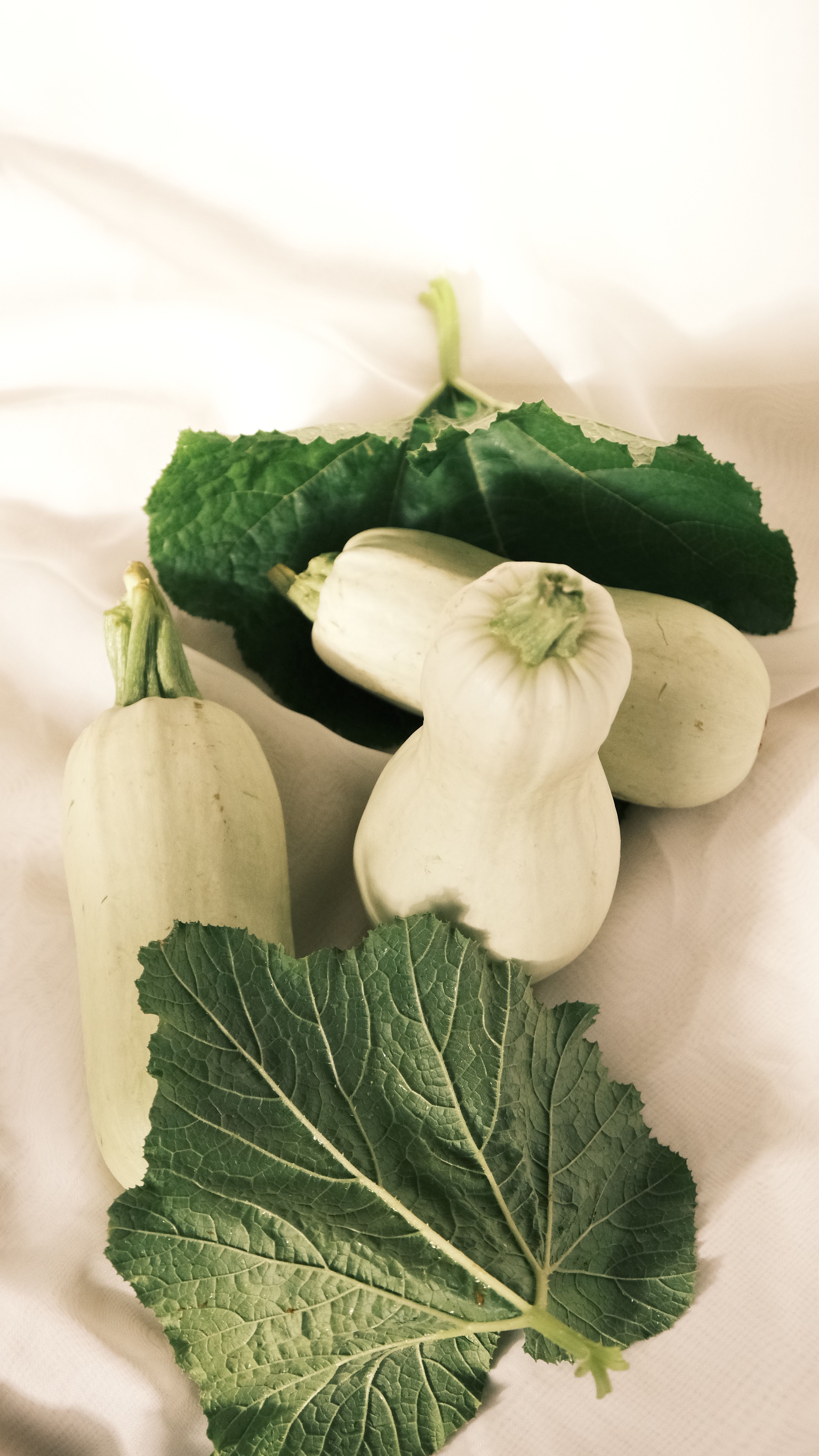 Variedad Surtida De Verduras En La Cesta · Foto de stock gratuita