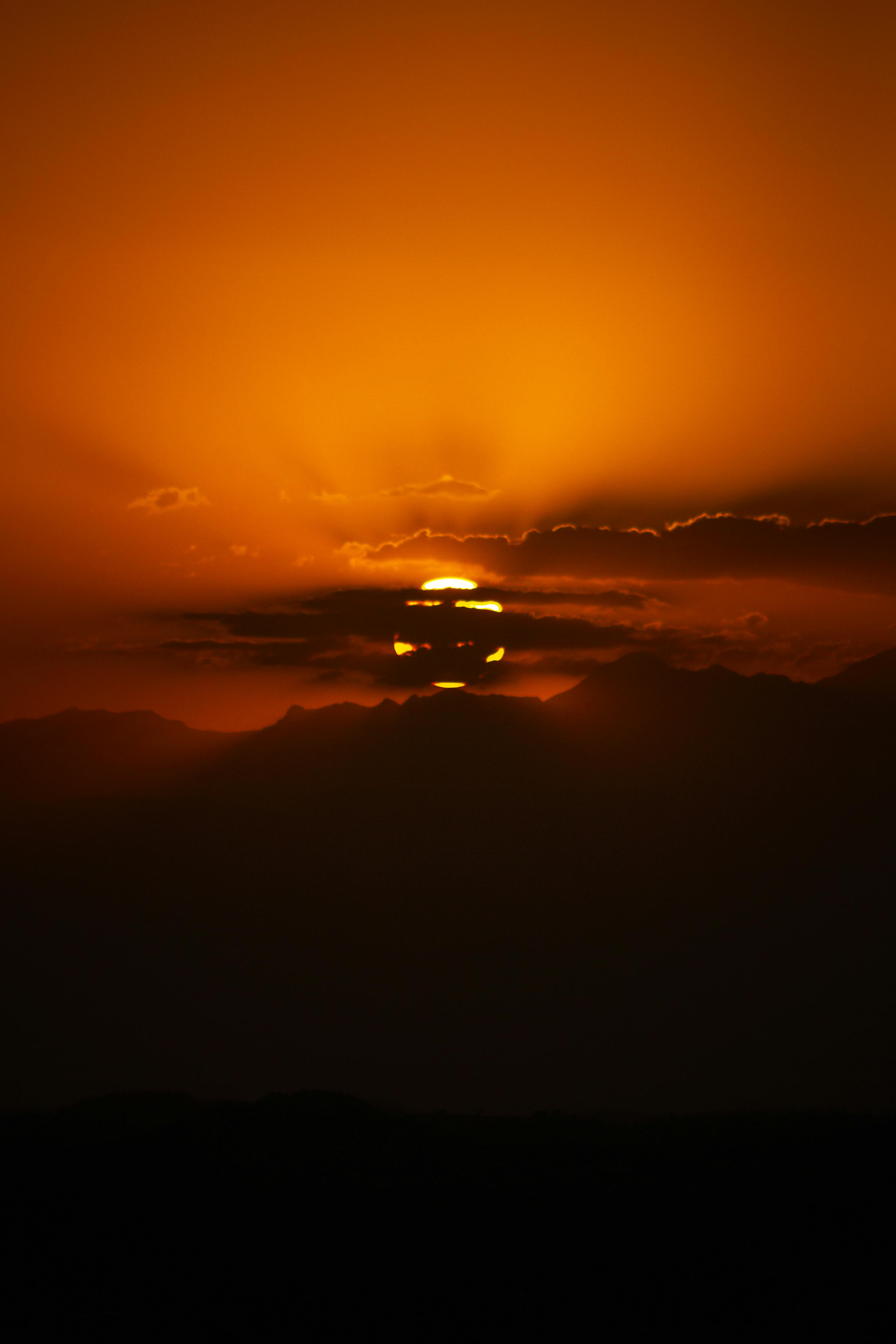 Brown and Green Grass during Sunset · Free Stock Photo