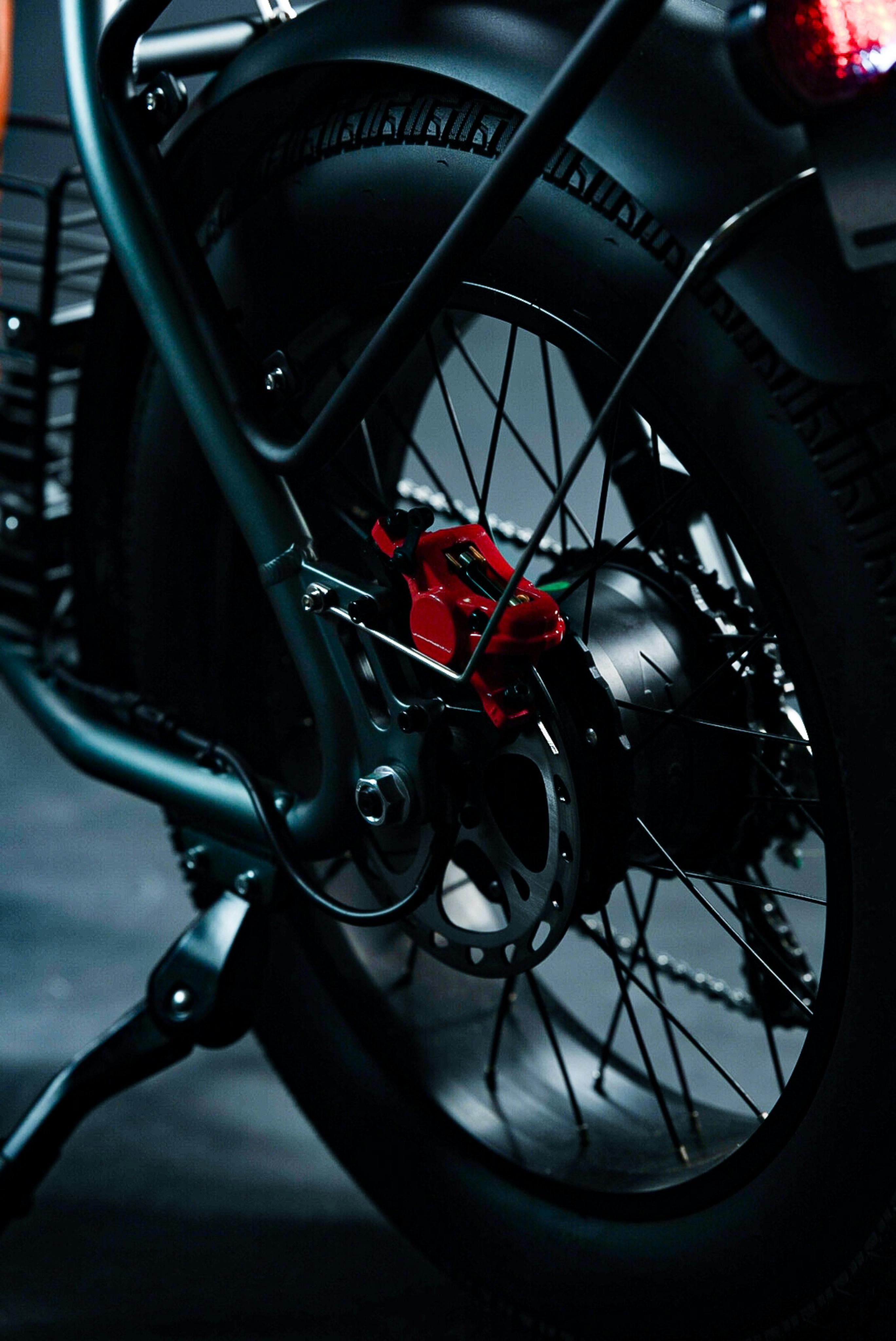 Tapete Velo Photos, Download The BEST Free Tapete Velo Stock Photos ...