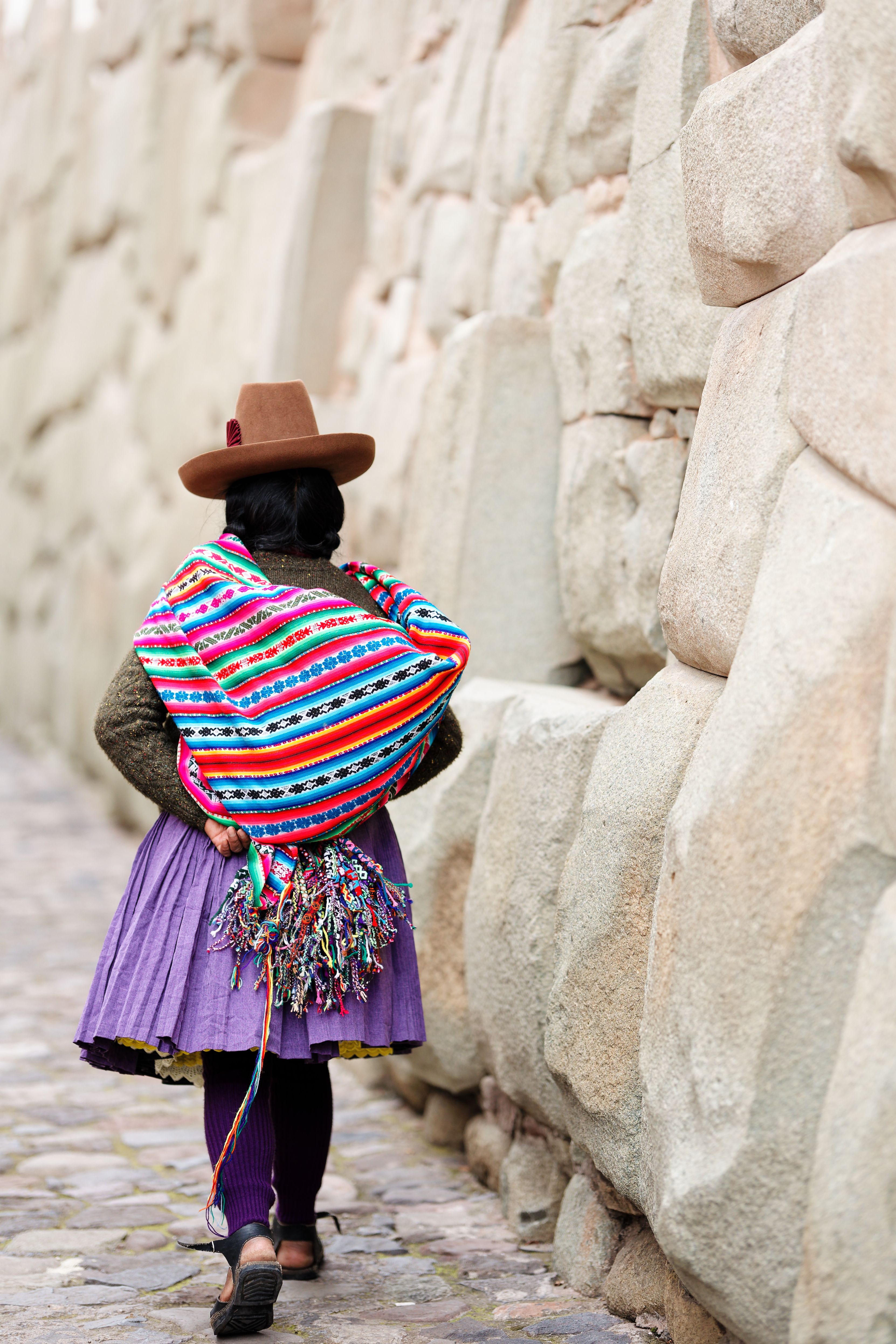 Back View of Woman Walking in Traditional Clothing and with Bag · Free ...