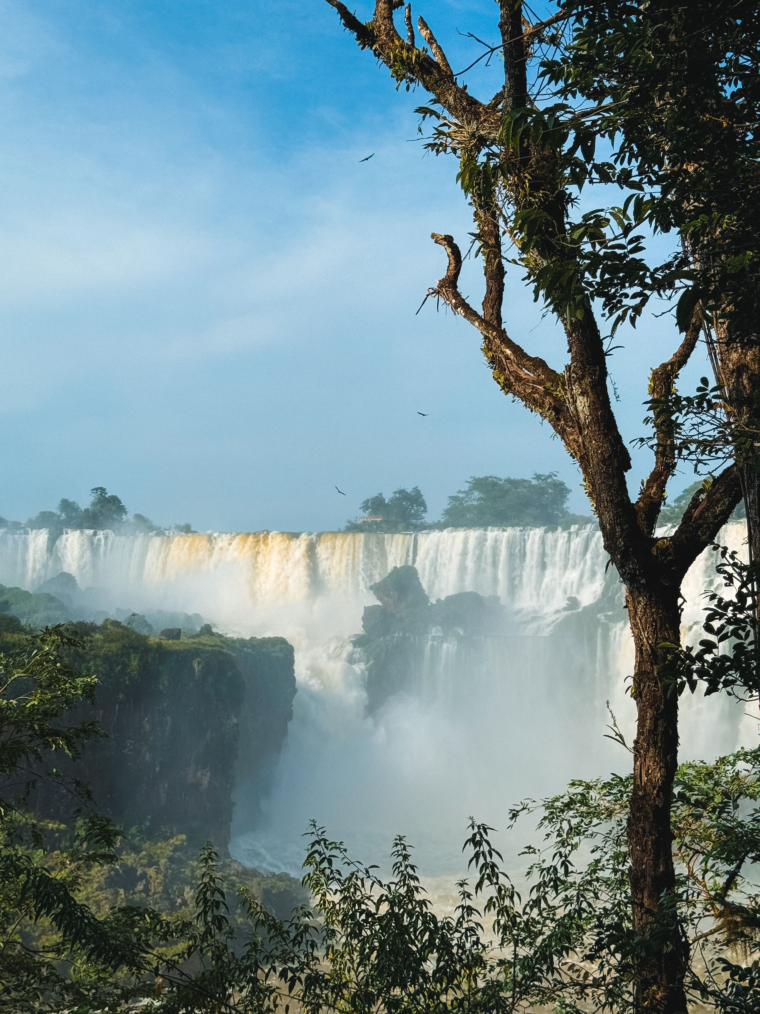 Igua falls, brazil, south america · Free Stock Photo
