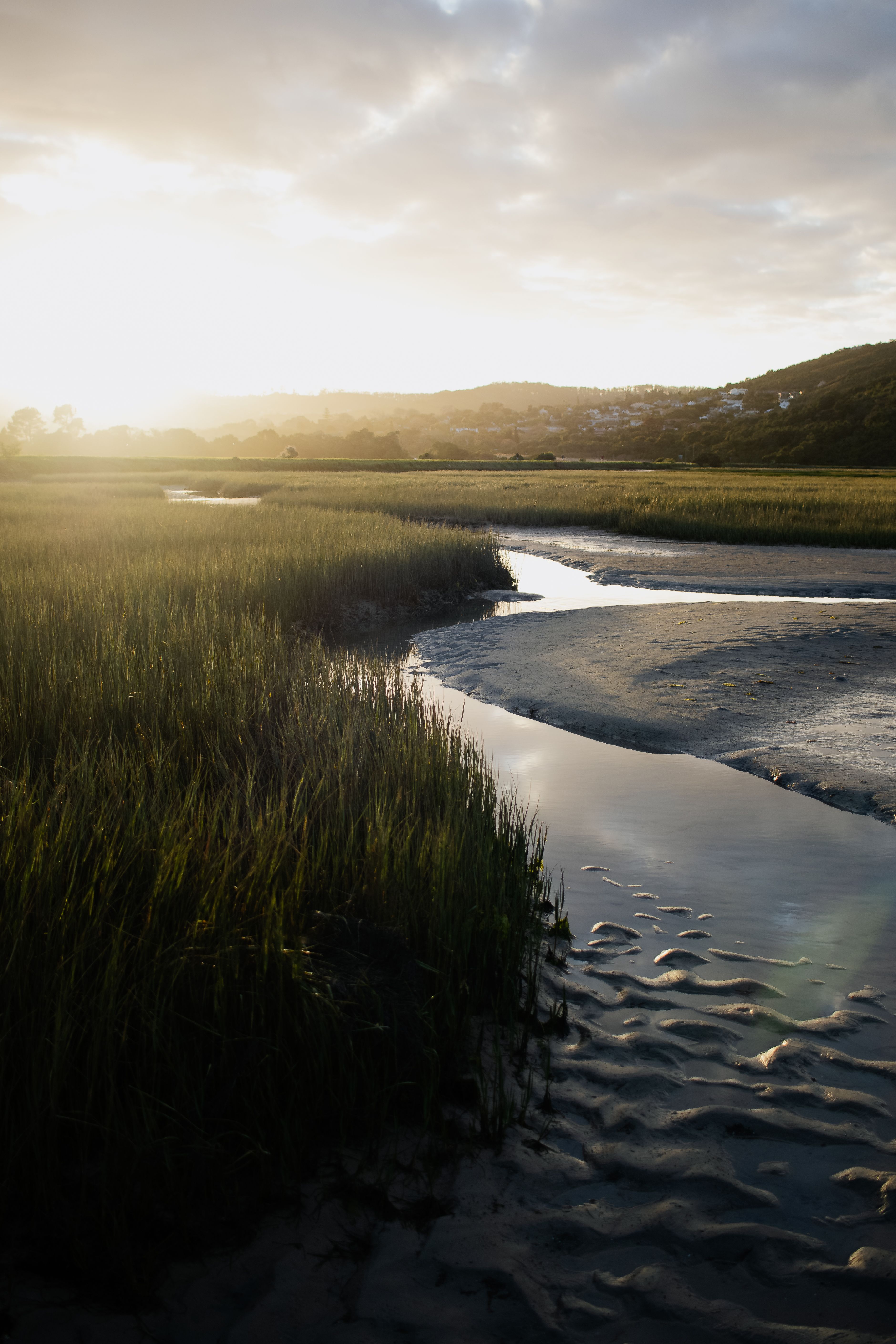Shallow End Photos, Download The BEST Free Shallow End Stock Photos ...