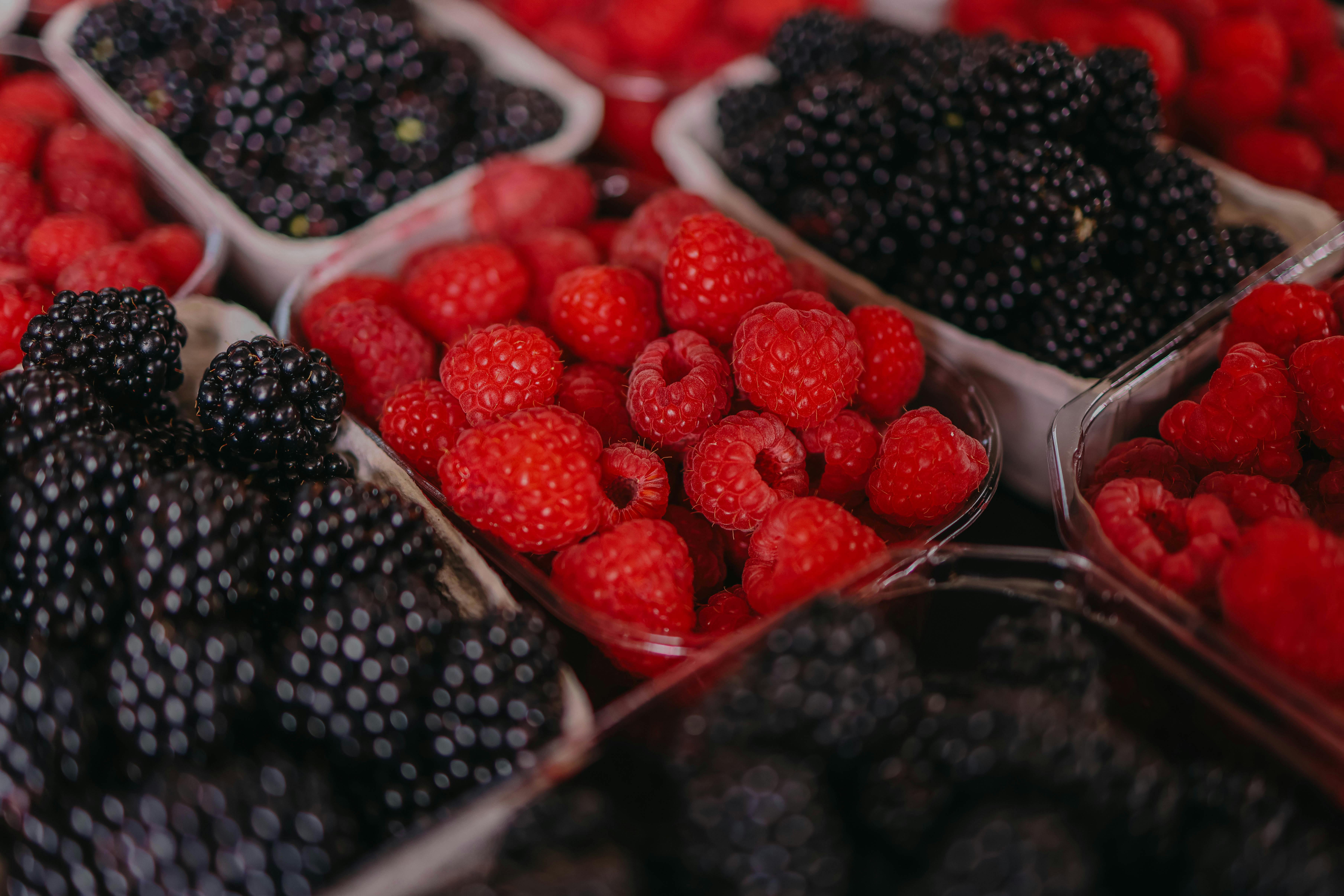 Red and Black Raspberries on Black Surface · Free Stock Photo