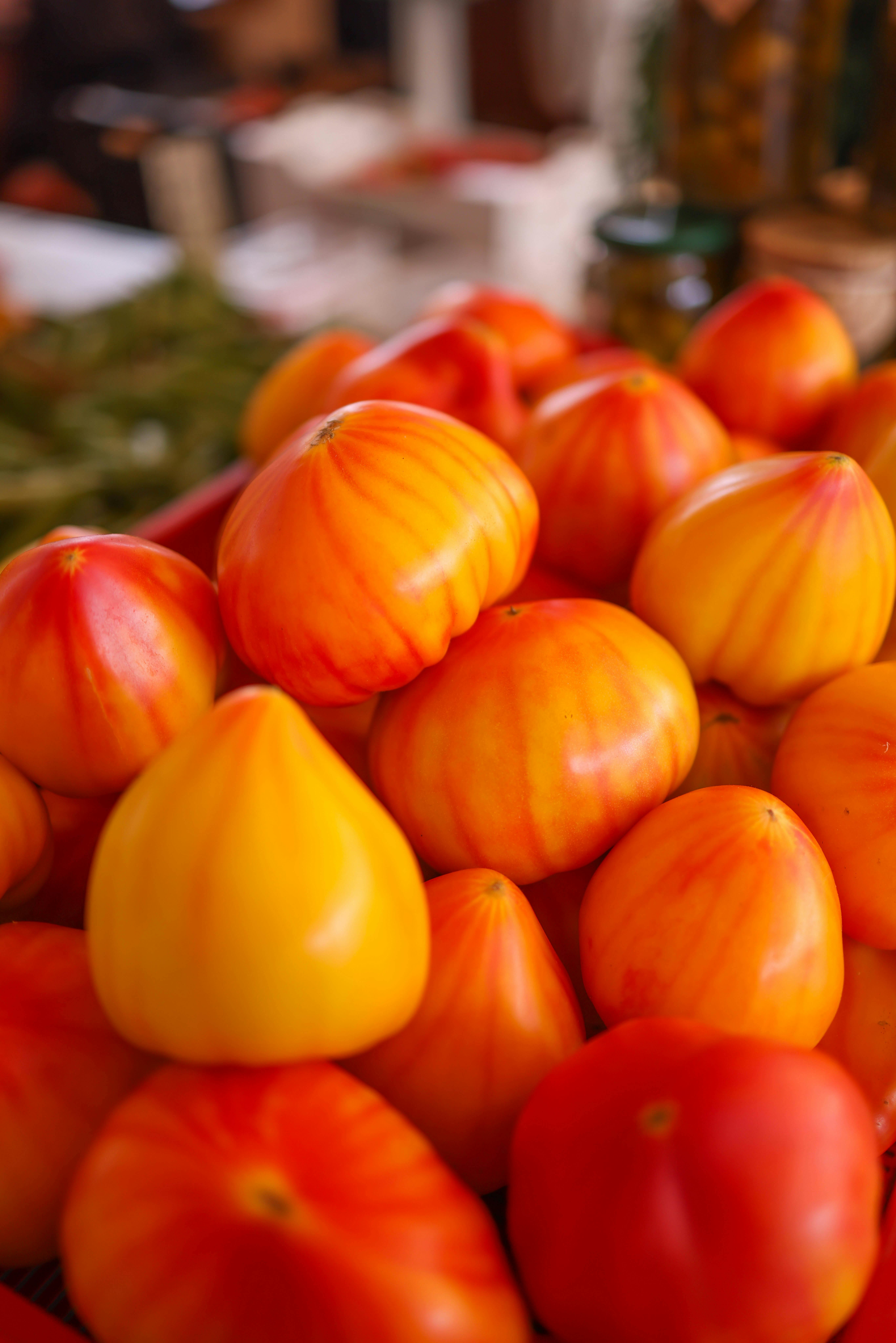 Gourmansun Tomatoes on Display · Free Stock Photo