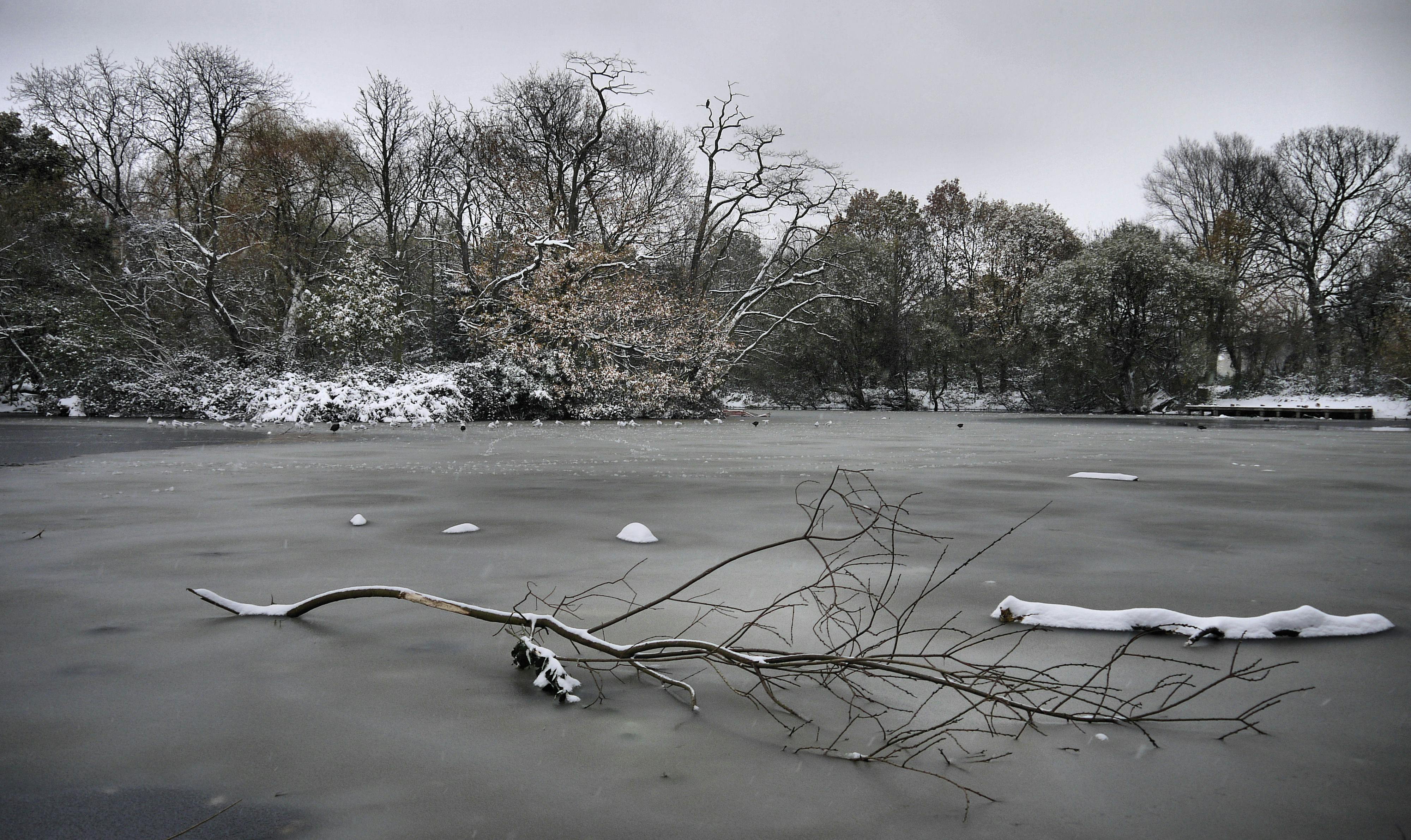 Photo of a Frozen Lake in Winter · Free Stock Photo